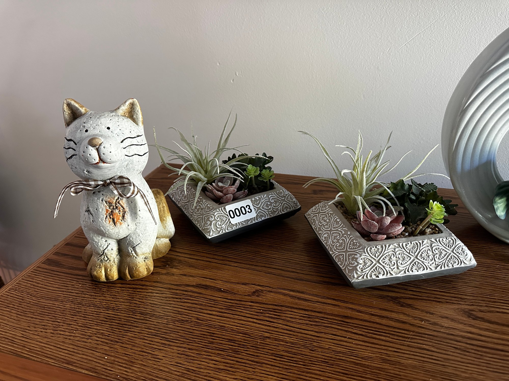 003 - CAT WITH 2 PLANTS #22960 | Auctionninja.com