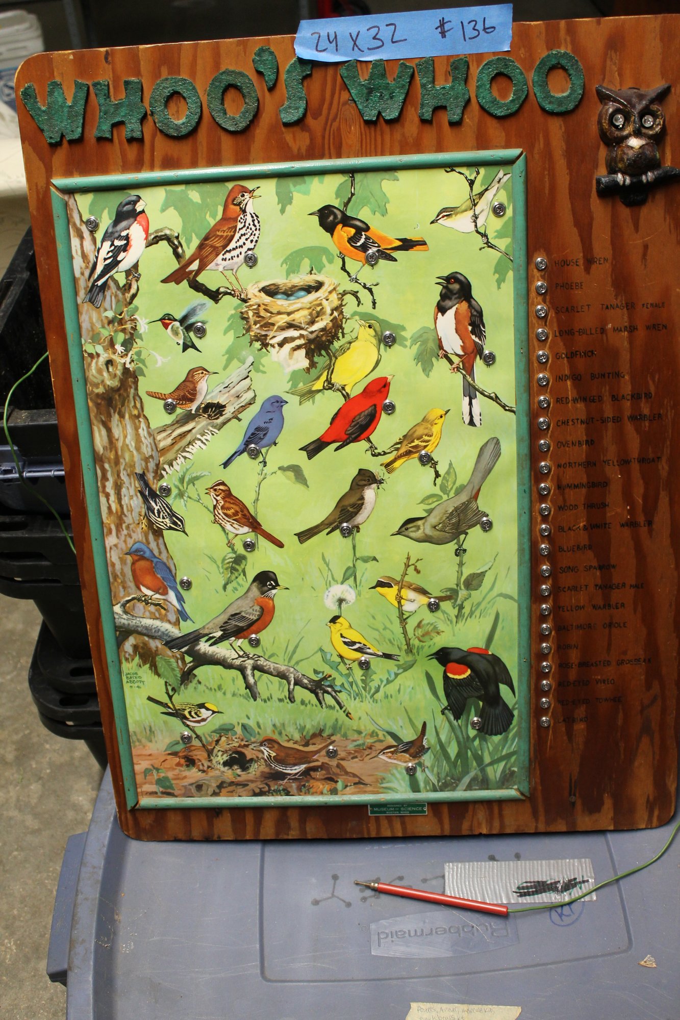 137 ~ Museum Science Made Nature Interactive Display For Nature Museum ...