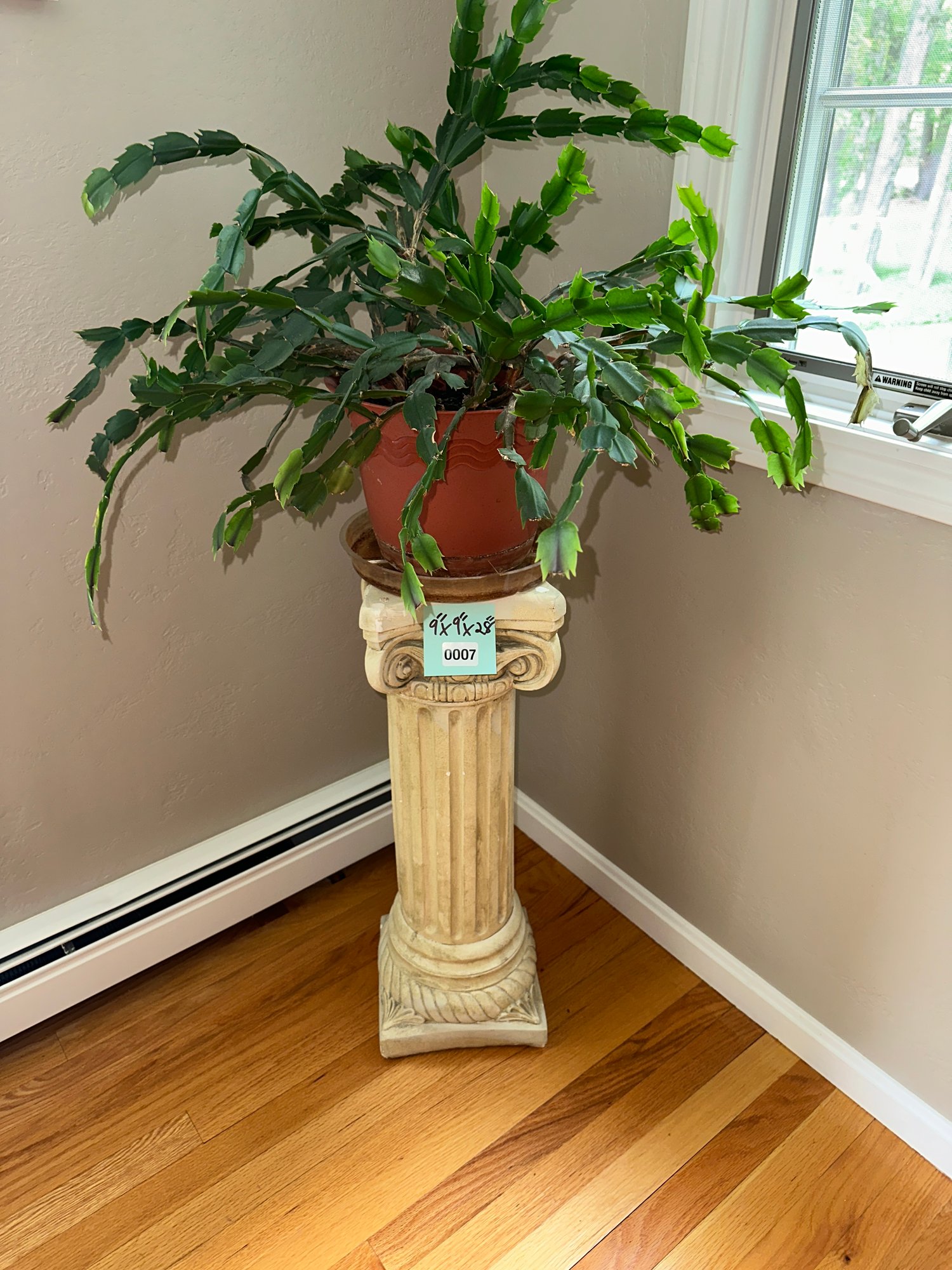 007 -GREAT PLANT WITH STAND #22293 | Auctionninja.com