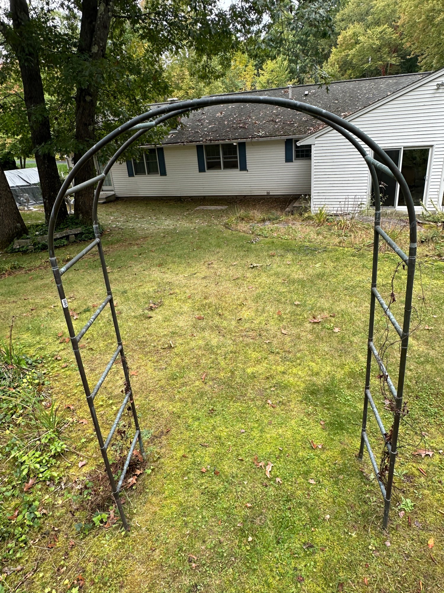 263 - TRELLIS #22434 | Auctionninja.com