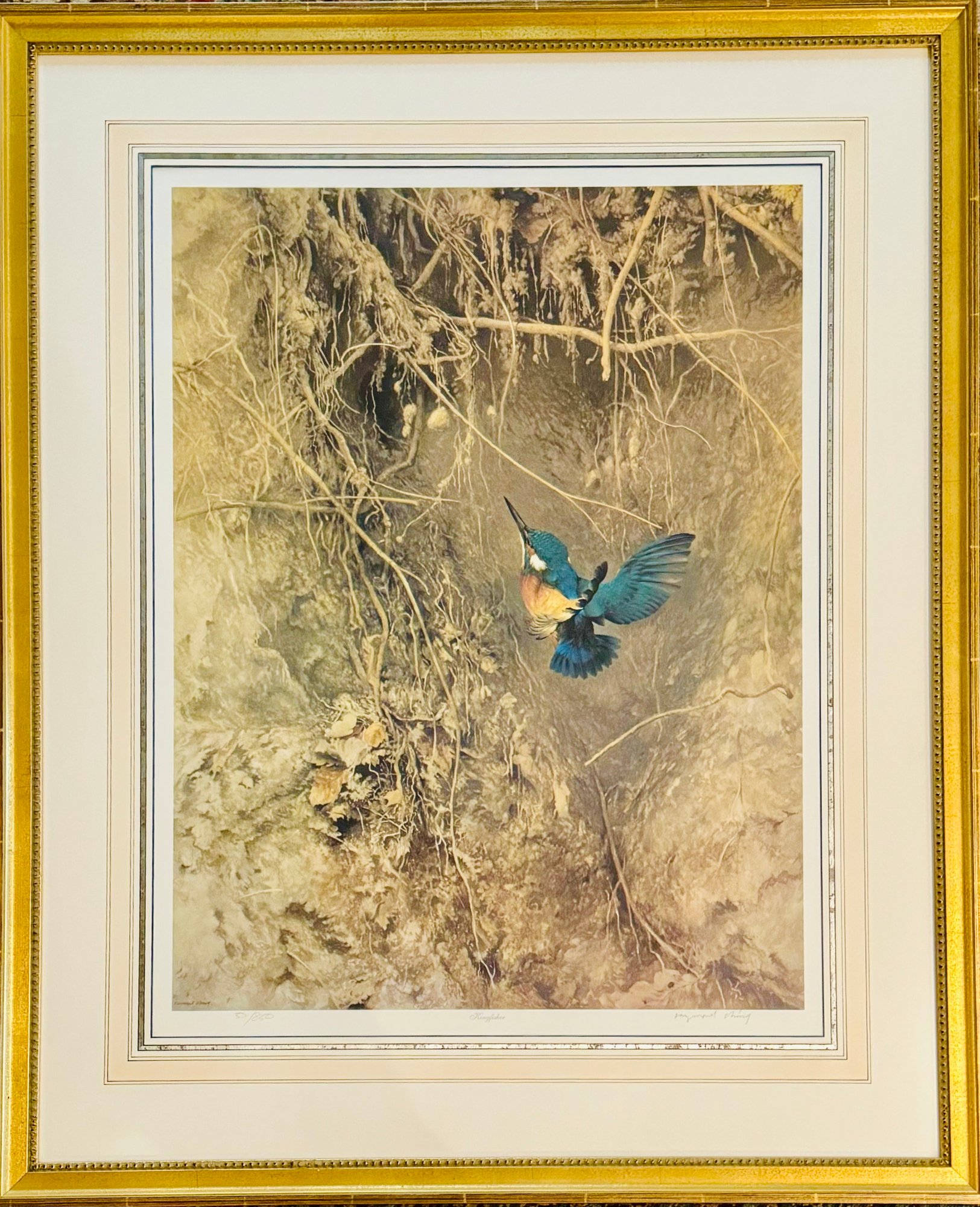 "Kingfisher" Limited Edition Art Print Signed By Artist Raymond Ching ...