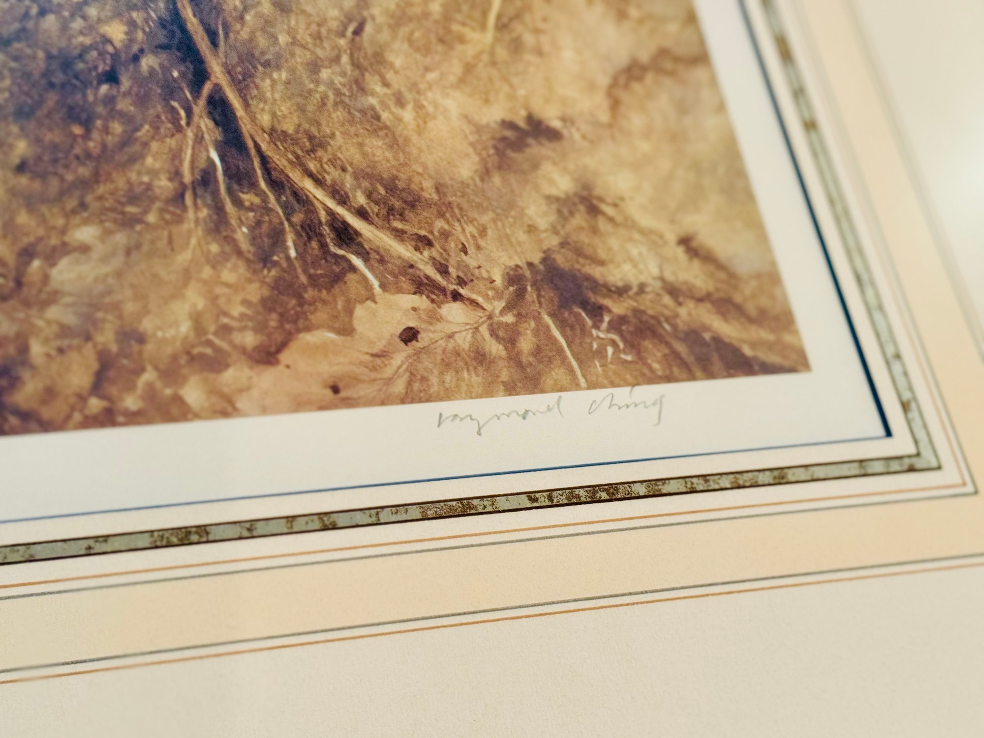 "Kingfisher" Limited Edition Art Print Signed By Artist Raymond Ching ...