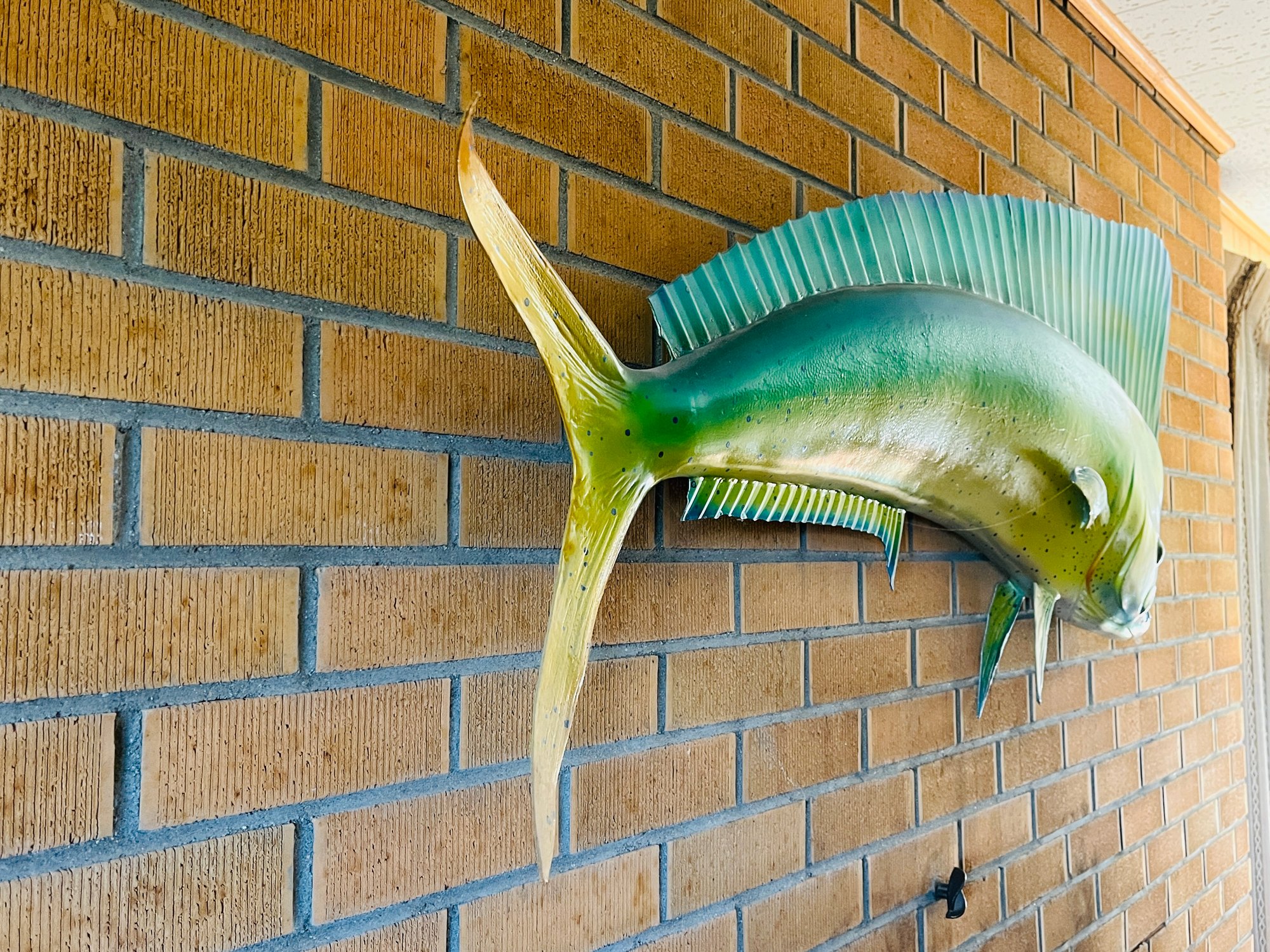 Mahi Mahi Full Mount Fish #204511 | Auctionninja.com