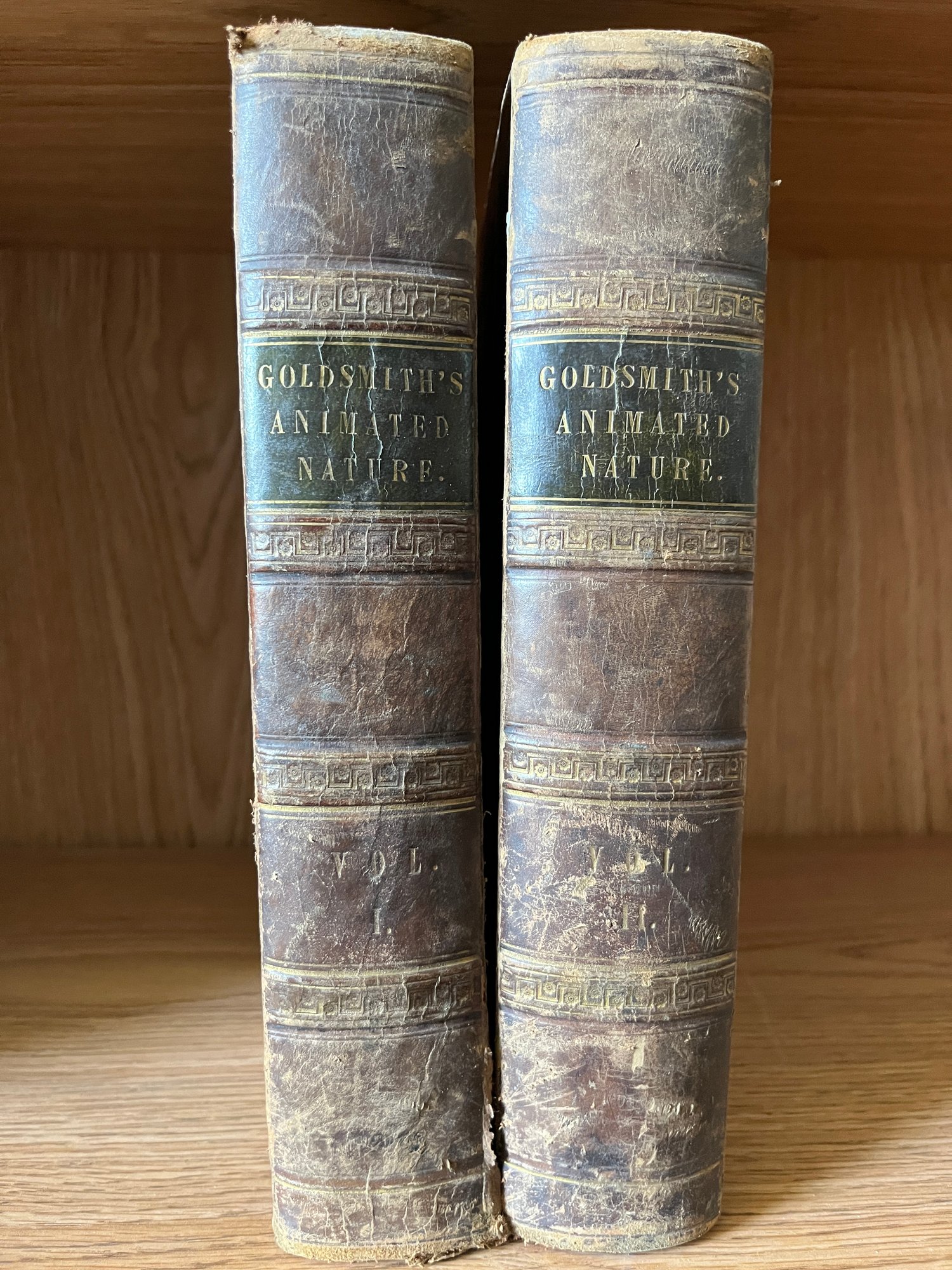 1859 - A History Of The Earth And Animated Nature, Two Volumes - Oliver ...