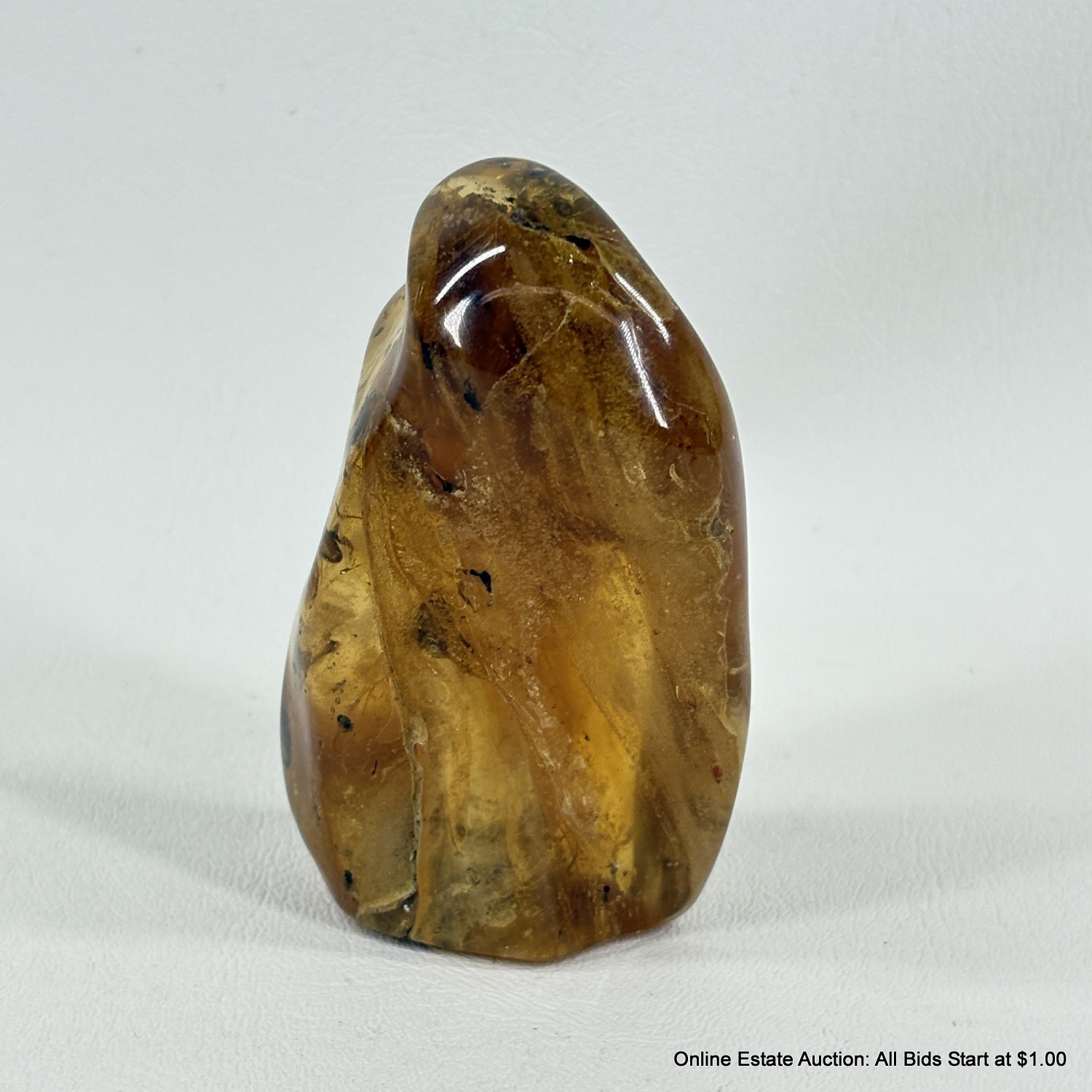 Fossilized Amber Specimen With Preserved Insects & Organic Material ...
