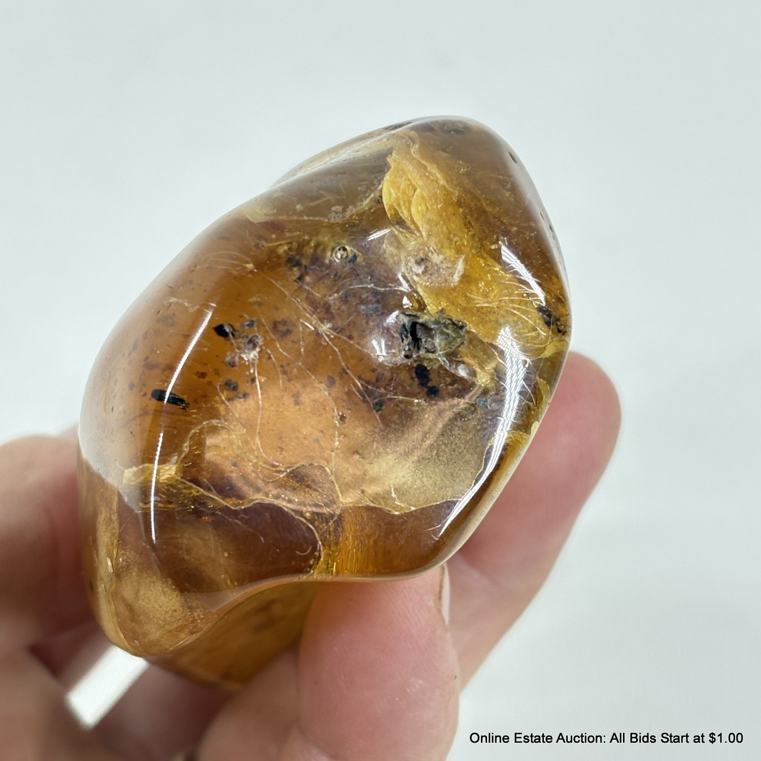 Fossilized Amber Specimen With Preserved Insects & Organic Material ...