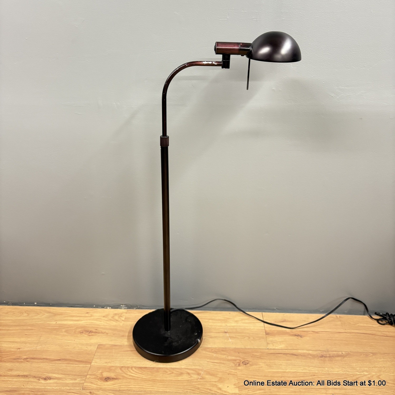 Painted Steel LED Task Lighting Adjustable Floor Lamp (LOCAL PICKUP ...