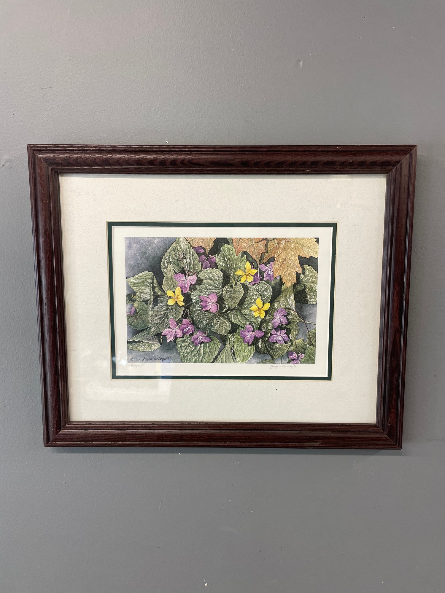 Joyce Bridgett Pencil Signed Botanical Print Limited Edition 212/475 ...