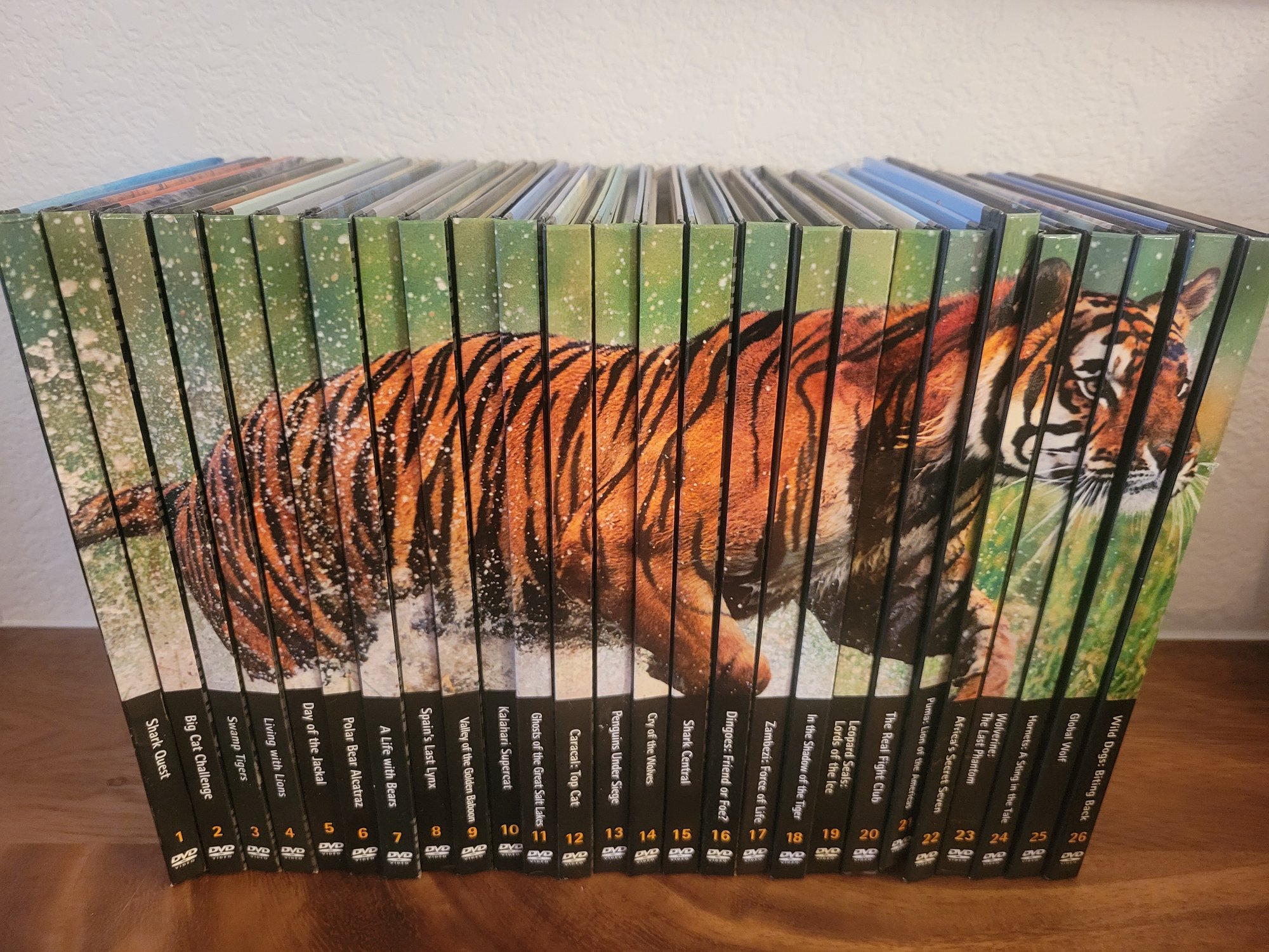 Natural Killers Predators Close Up DVDs Volume 1 To 26 #17071 ...