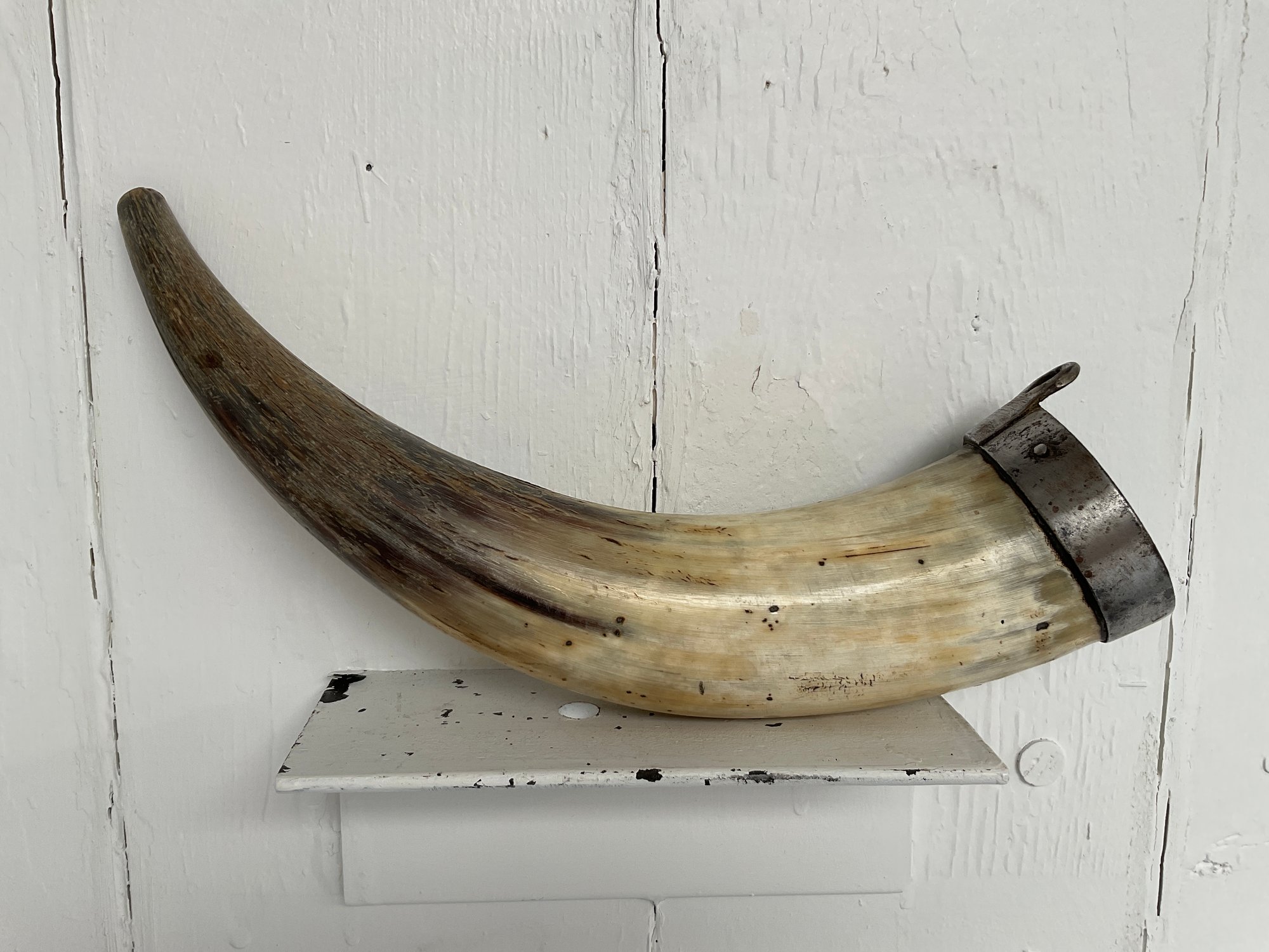 238 Vintage Bull Horn, Powder Horn #4198 | Auctionninja.com