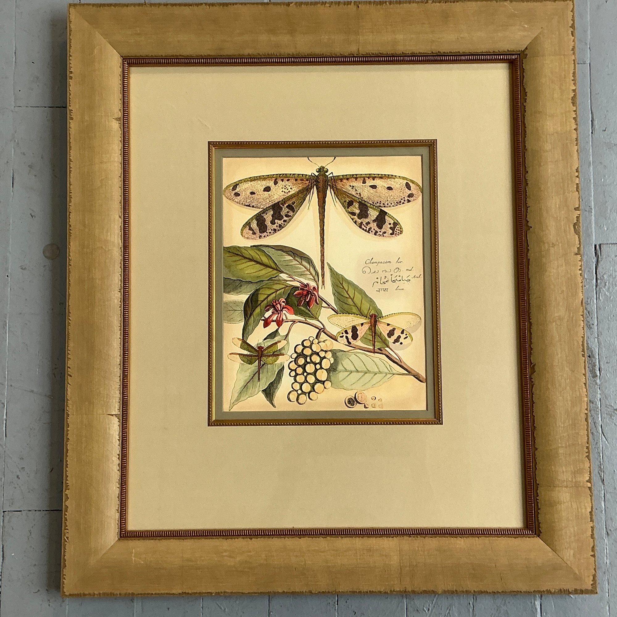#026 Dragonfly And Butterfly Framed Art Print Decor #5492 ...