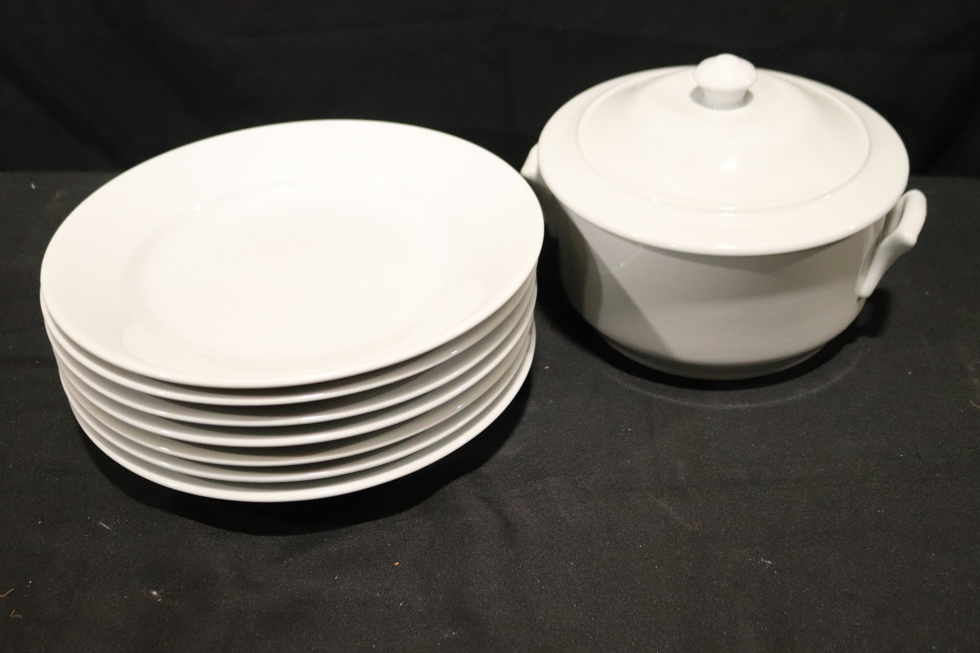 Includes 7 Plates By Apilco France 11 Inch And Tureen #55924 ...