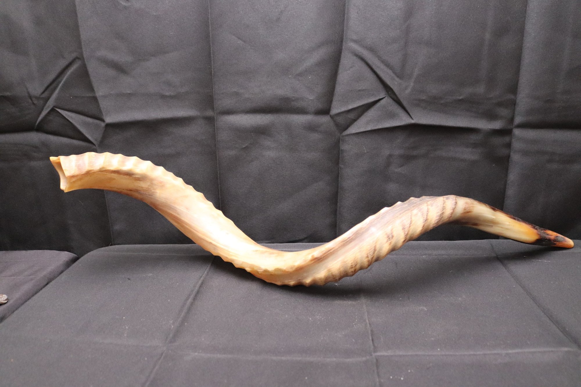 Yemenite Shofar Instrument Made From The Horn Of A Kudu Antelope Used ...
