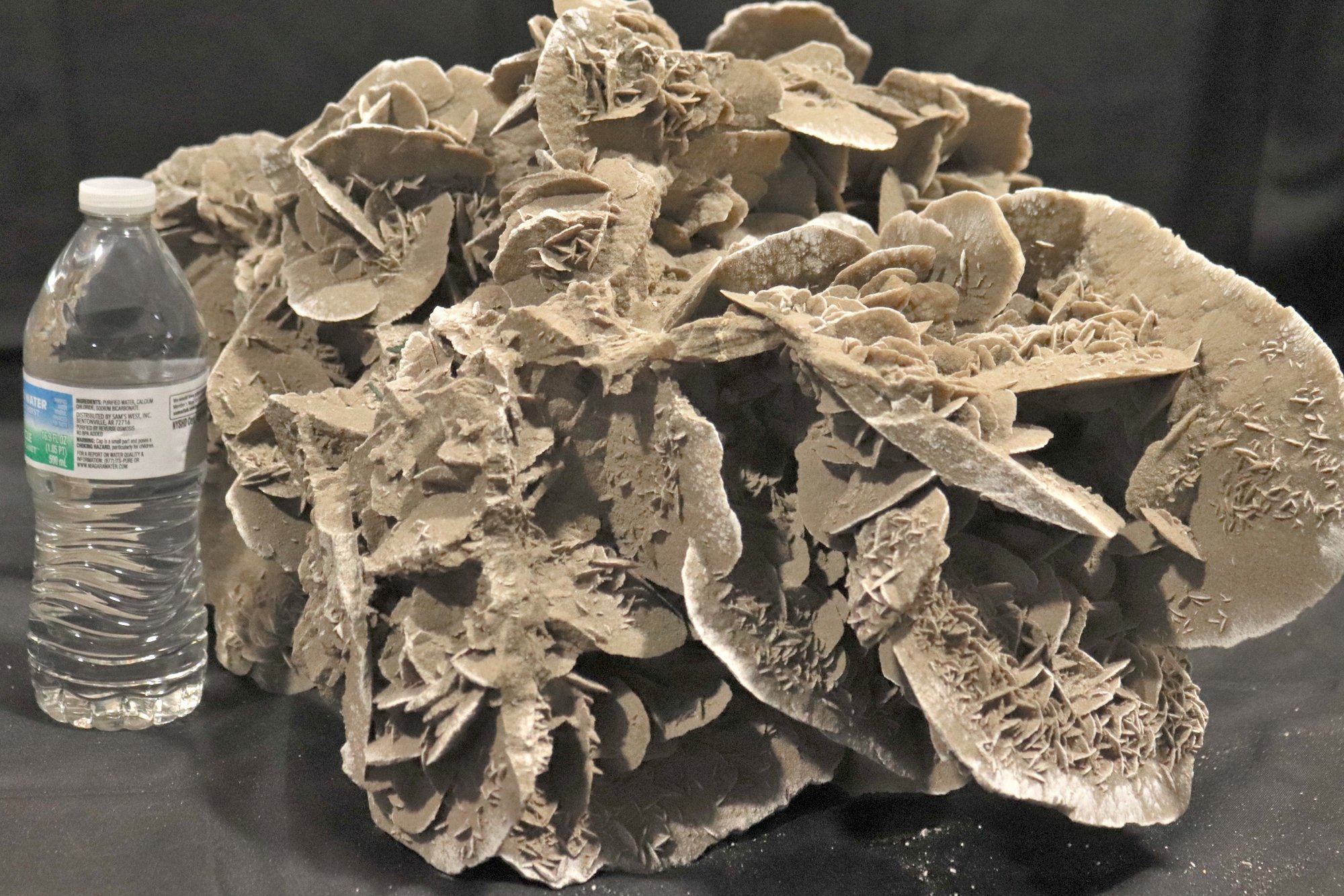 Desert Rose Gypsum Crystal Formation Measures Approximately 14 X 10 ...