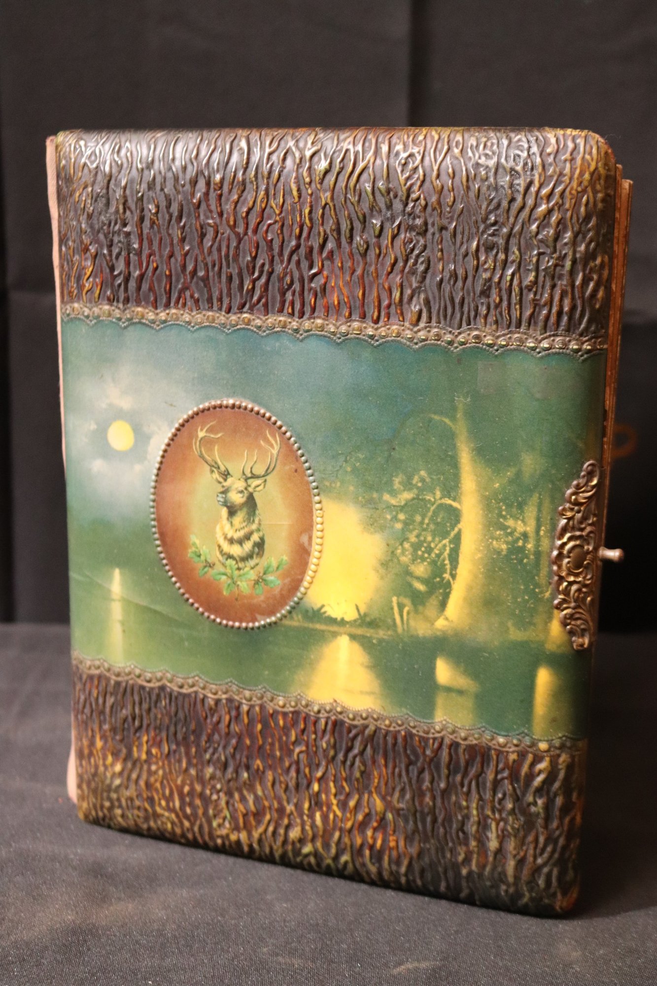 Unique Early 1900s Photo Album In Celluloid Finish #58918 ...