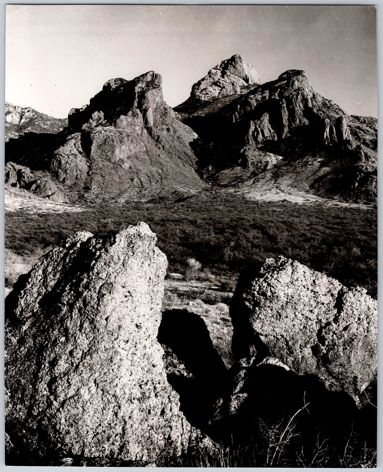 1950's Ray Manley Arizona Orignal Photo - Type 1 #14119 | Auctionninja.com