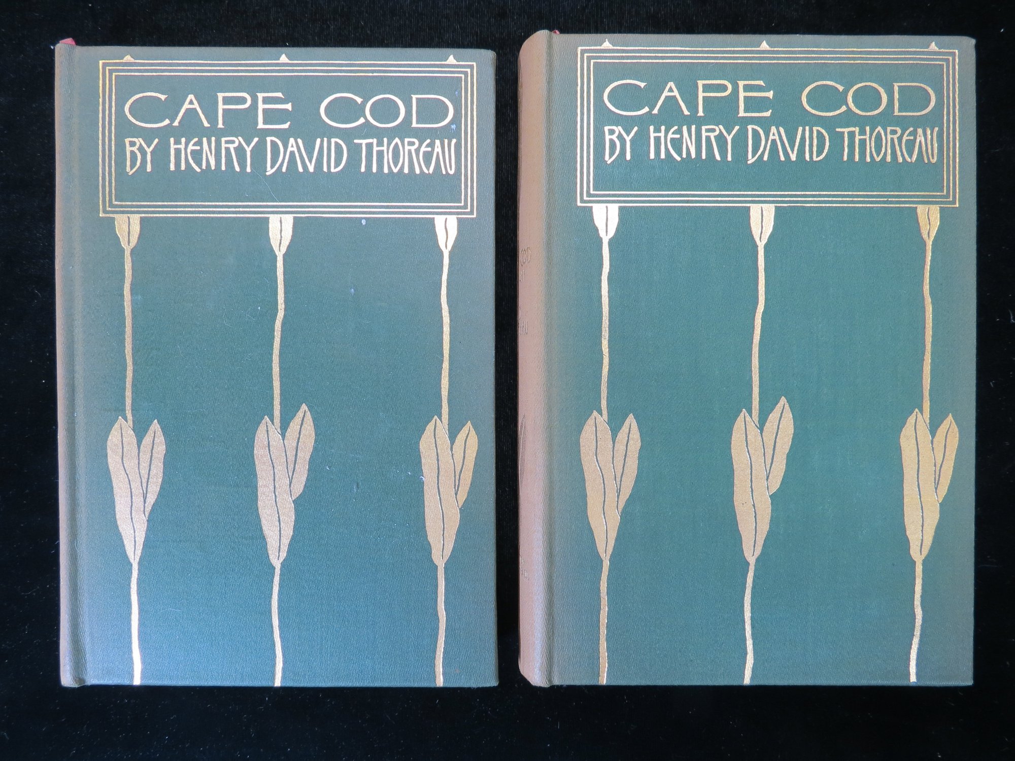 1896 Cape Cod By Henry David Thoreau Two Volume Set #22574 ...