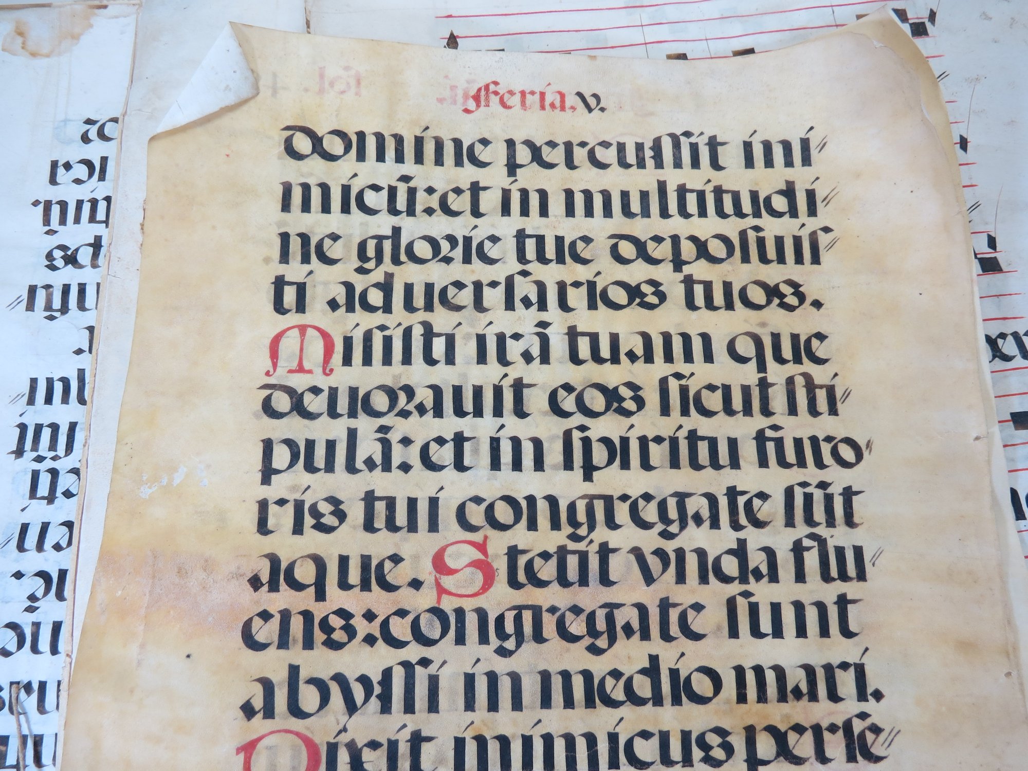 (31) Large Format Hand-illuminated Pages On Vellum #14545 ...