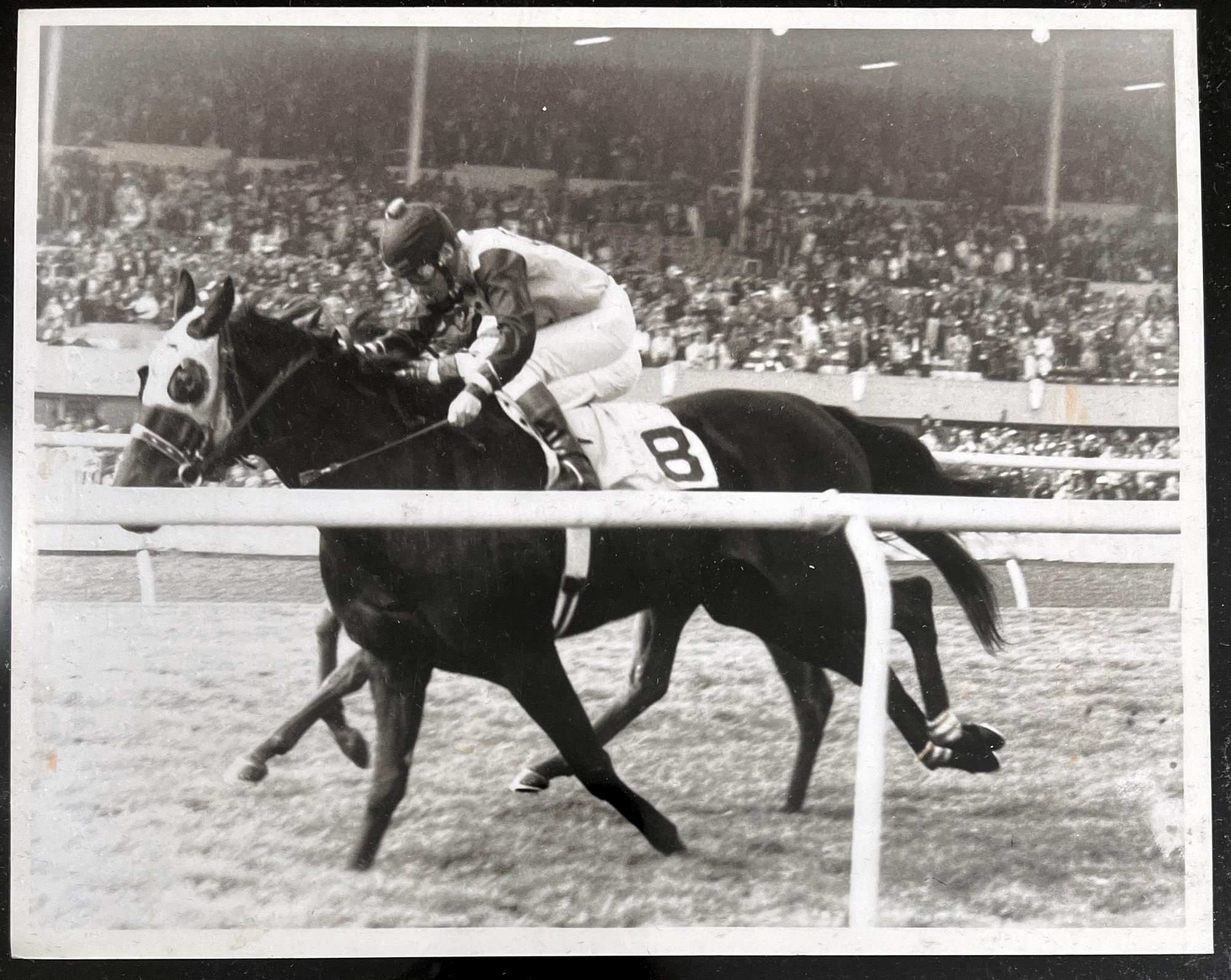 1985 Horse Racing Jockey Tony Ives 8 X 10 Photo - Type 1 #14107 ...