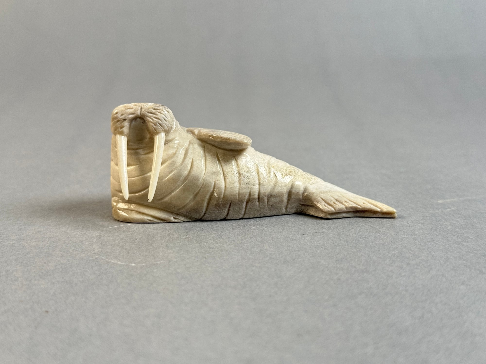 Walrus Carving #76447 | Auctionninja.com
