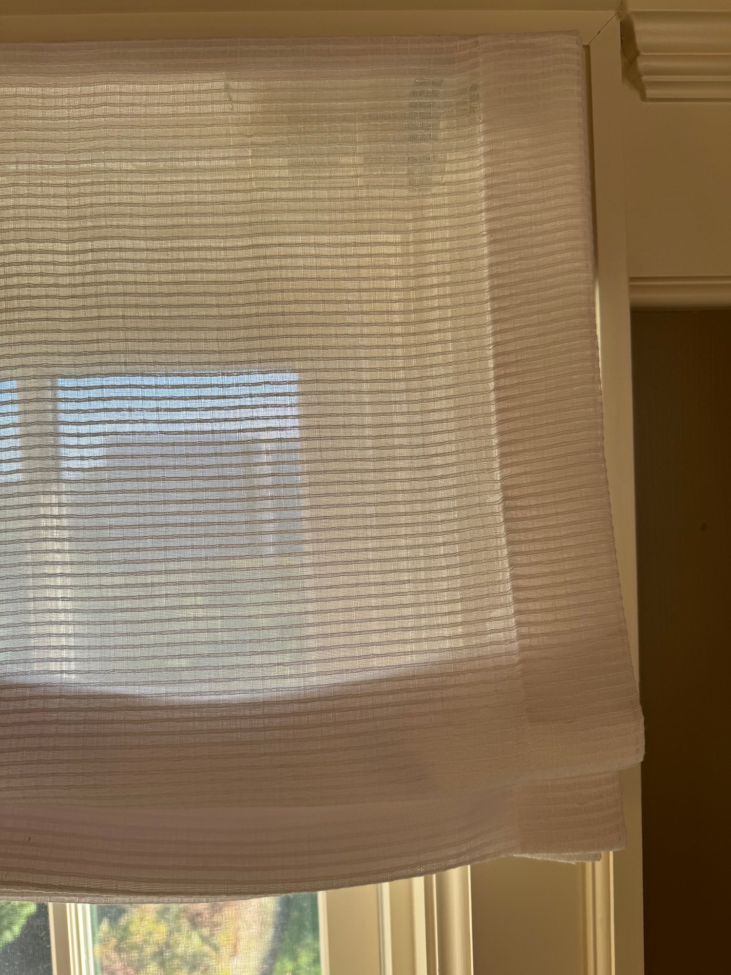 Single Sheer Outside Mount Roman Shade - 2 #5992 | Auctionninja.com