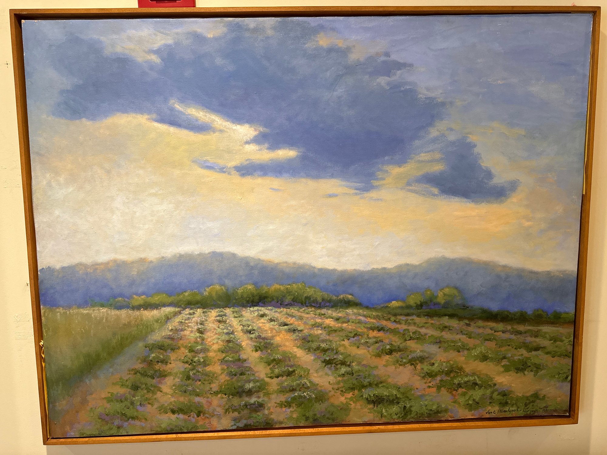 Jane Bloodgood-abrams Oil Paining Of Fields And Sky #5509 ...