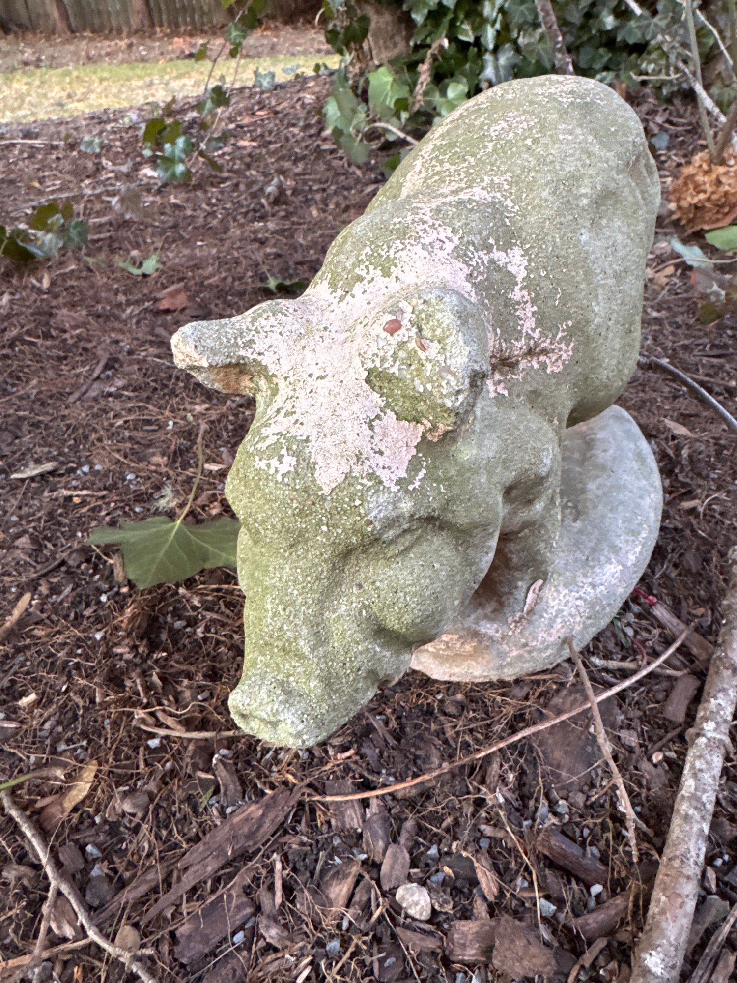 Concrete Pig #6359 | Auctionninja.com