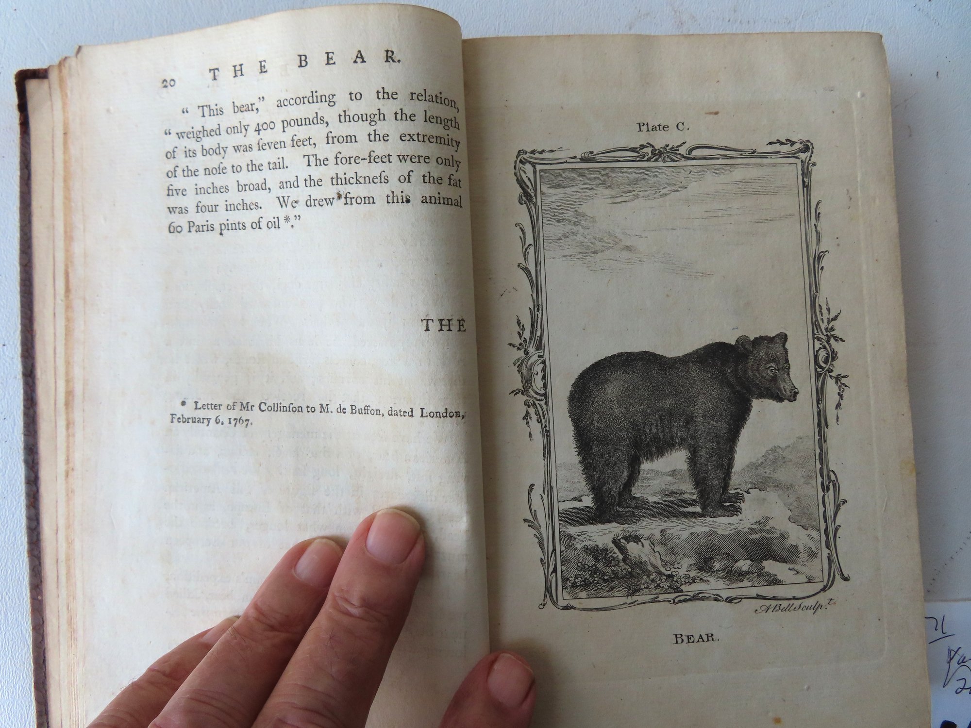 Natural History, General And Particular, By The Count De Buffon ...