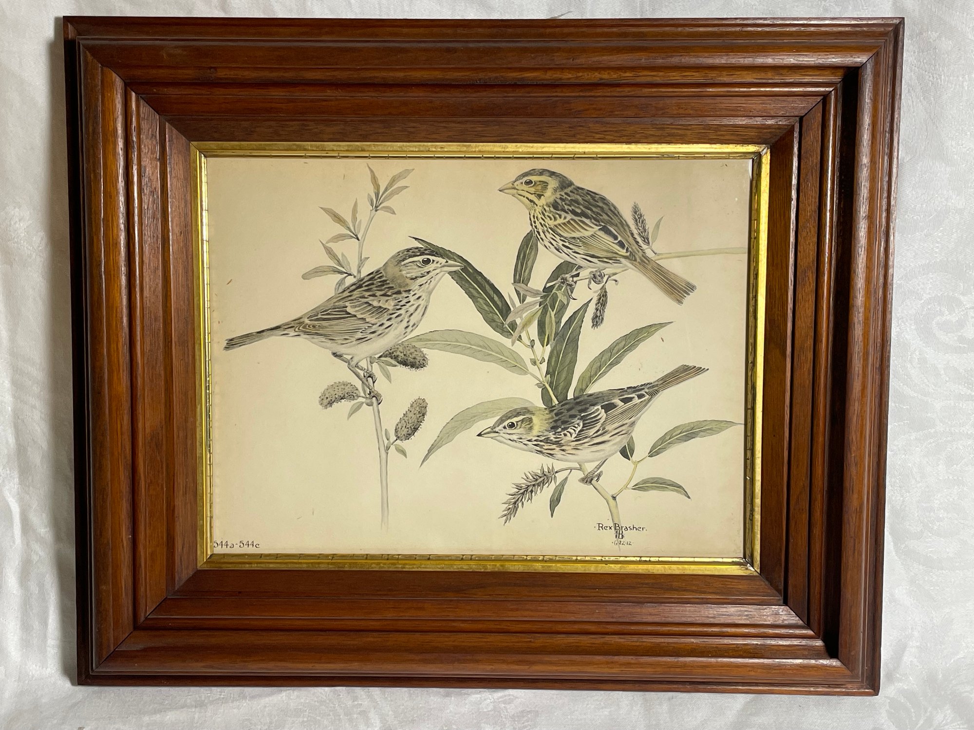 Antique Framed Rex Brasher Bird Print, 1912 #26657 | Auctionninja.com