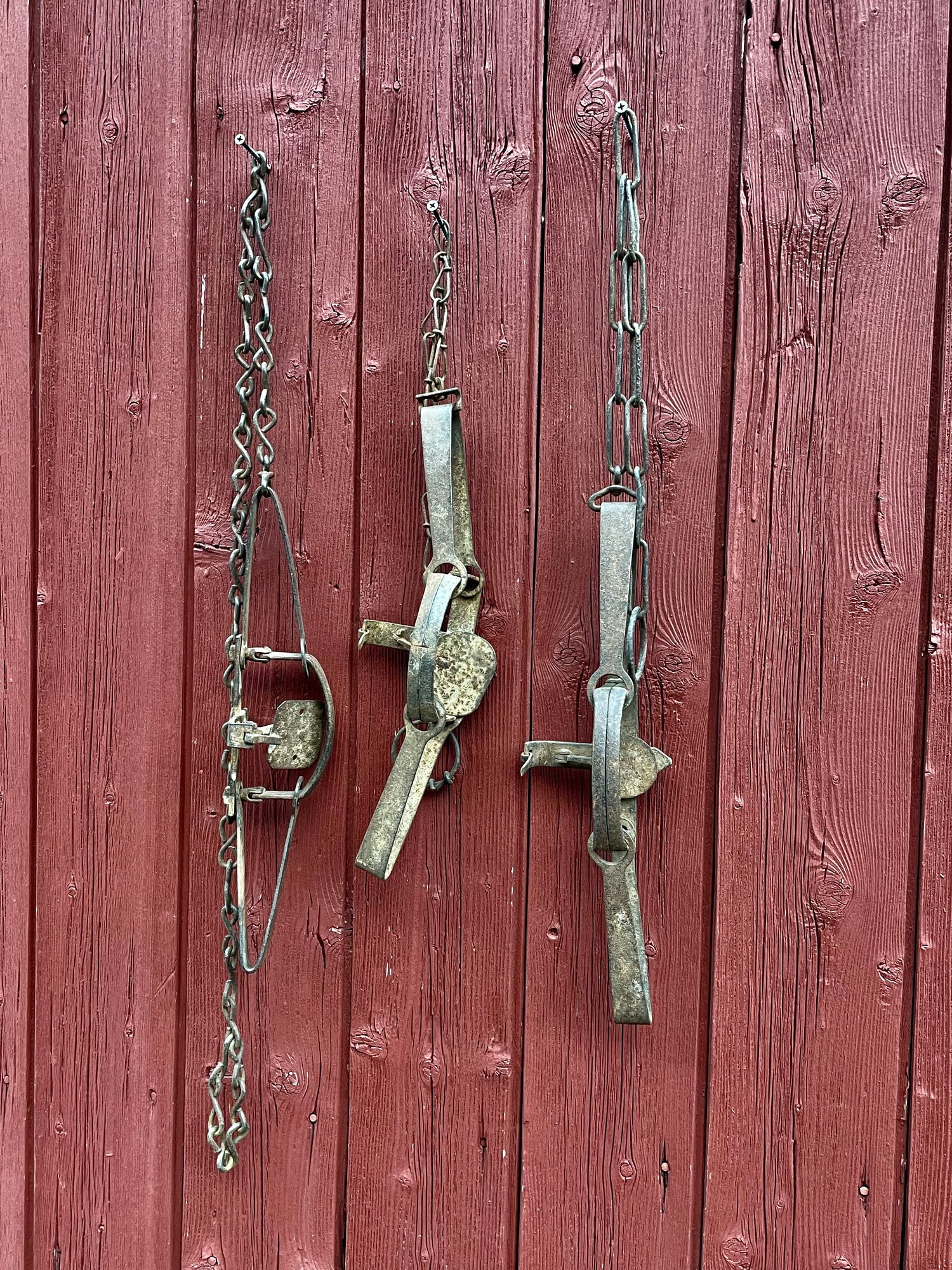 Set Of 3 Antique/Vintage Hunting Traps #29106 | Auctionninja.com