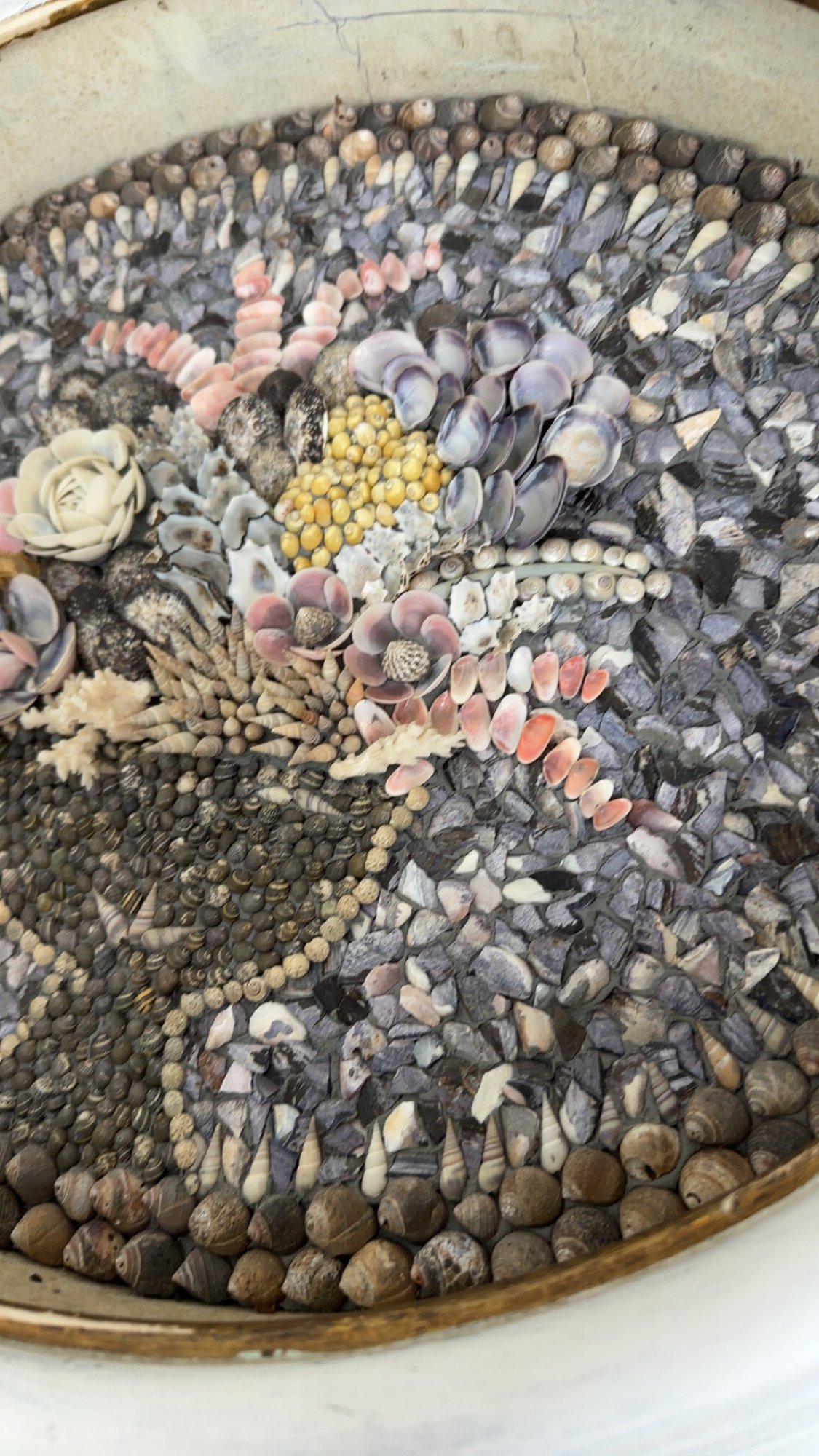 Contemporary Sailor's Valentine Shell Mosaic, Folk Art. Sea Shells ...