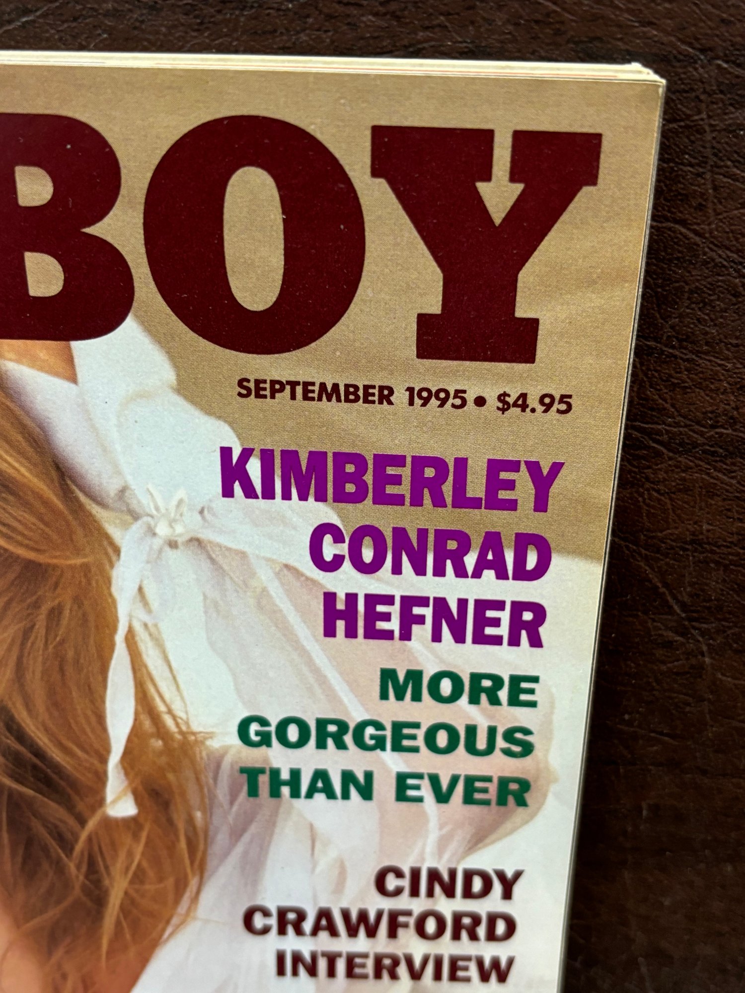 1995 - Playboy Magazine September Playmate Centerfold Donna D'errico ...