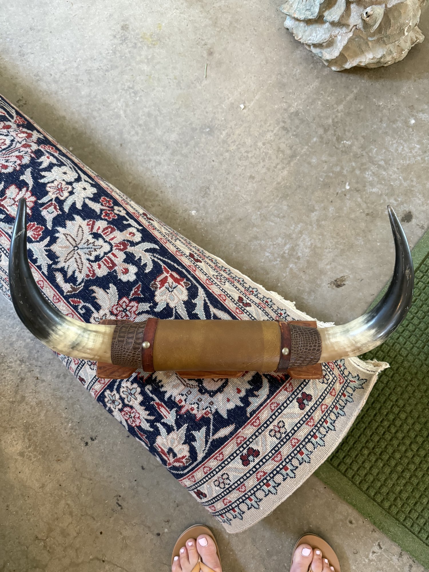 Very Cool Mounted Horns On Wood Block #1499 | Auctionninja.com