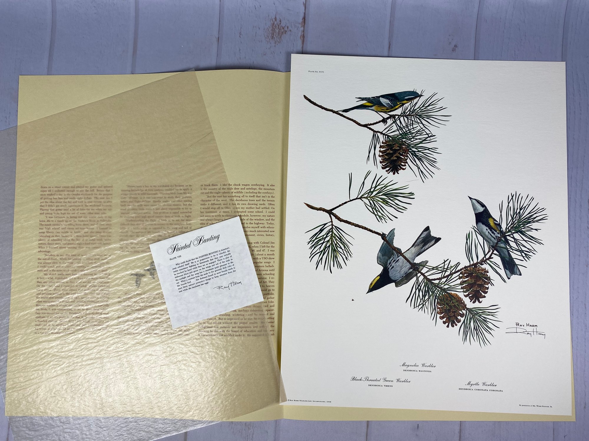 Magnificent Signed Ray Harm Print Of Various Warblers Including The ...