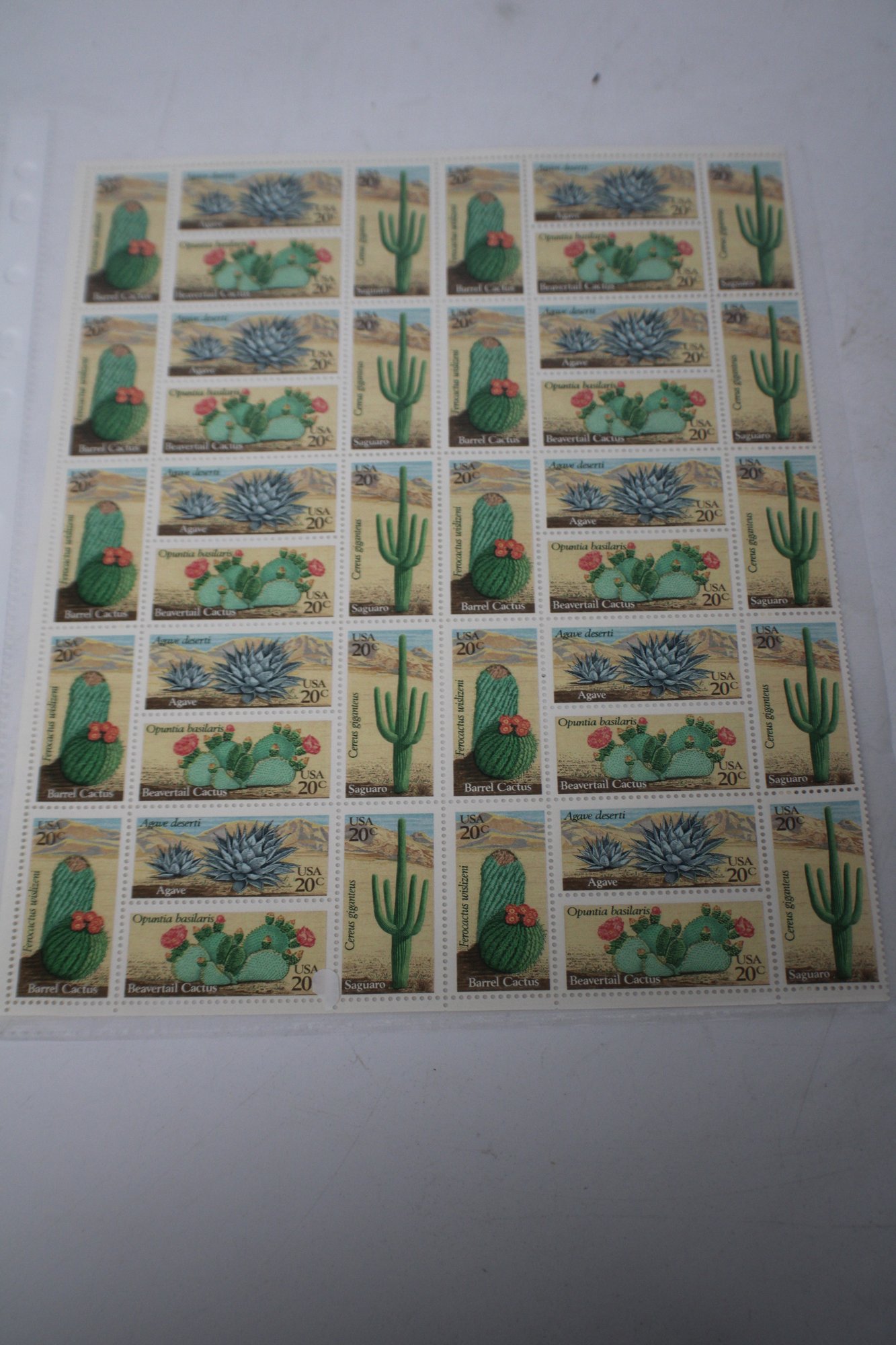 1981 U.S. Desert Cactus 20 Cent Stamps Full Sheet Of 50 #6703 ...