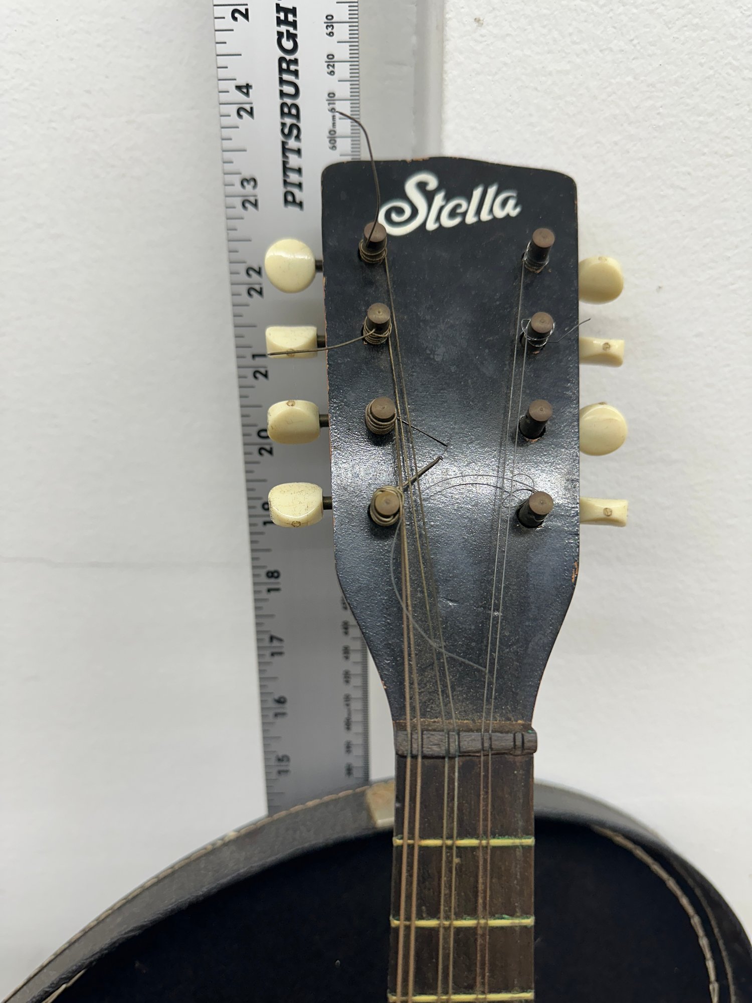 Vintage Stella Mandolin #3778 | Auctionninja.com