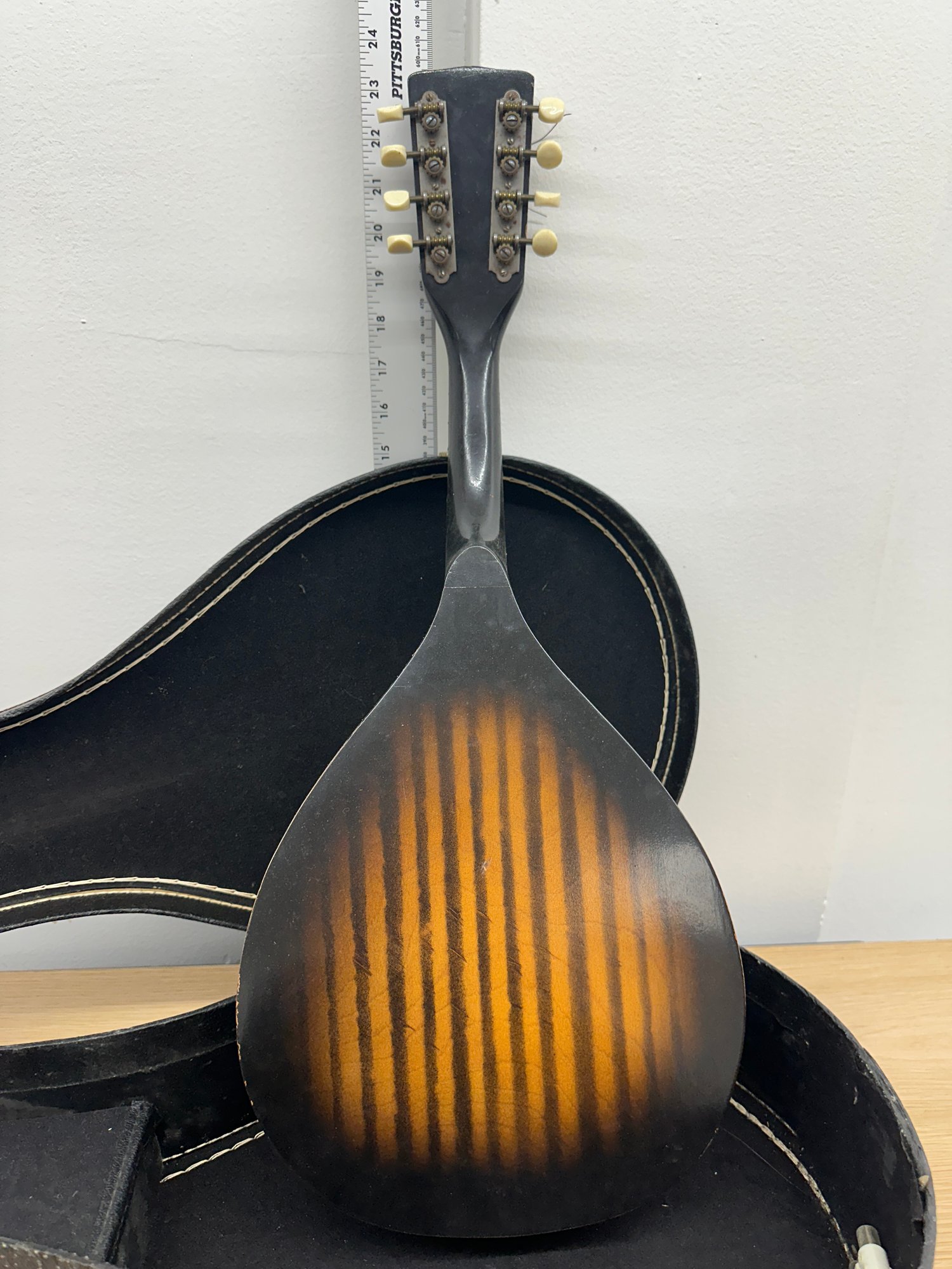 Vintage Stella Mandolin #3778 | Auctionninja.com