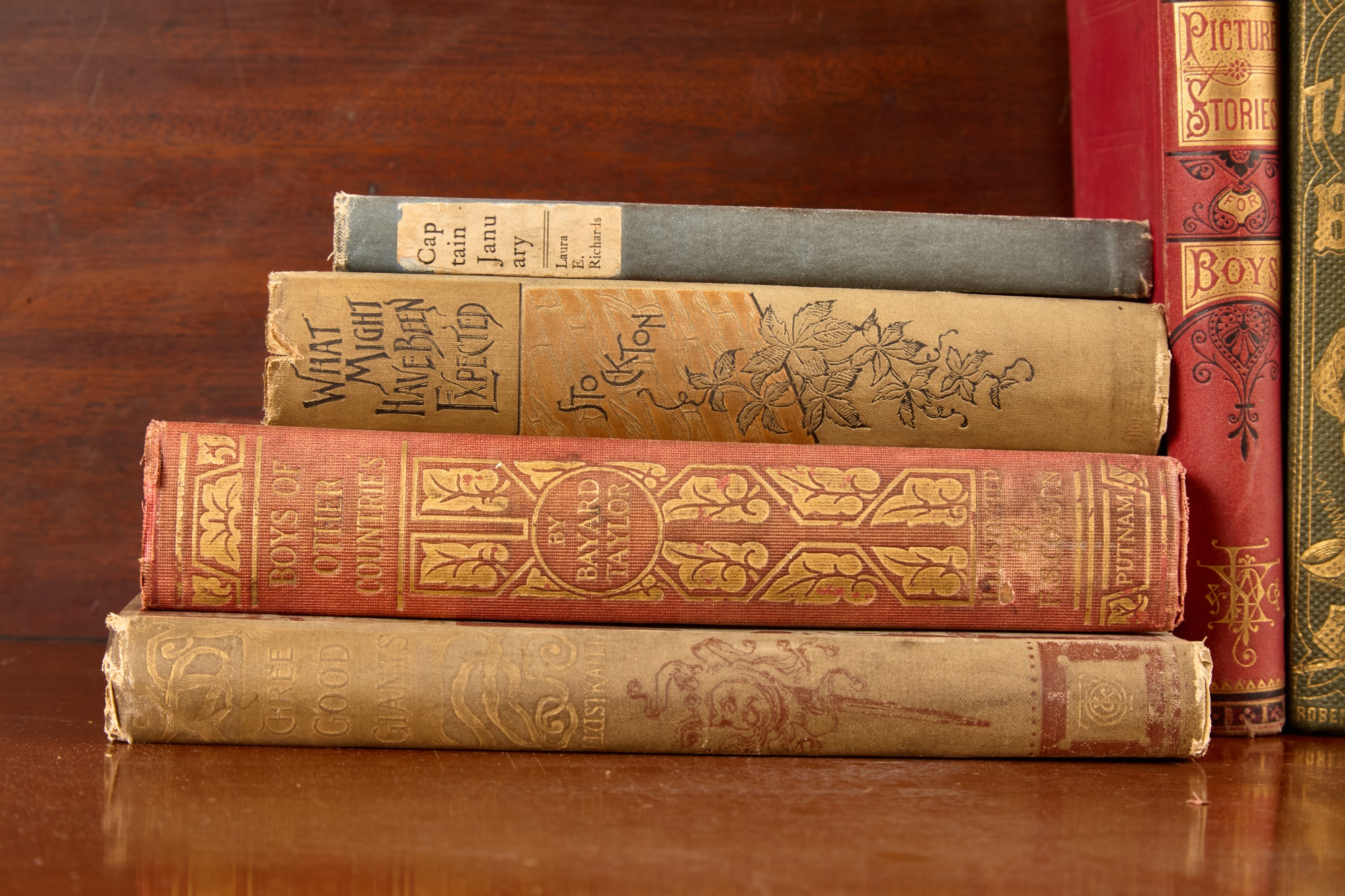 CHILDREN'S BOOKS of INTEREST to YOUNG BOYS #58585 | Auctionninja.com