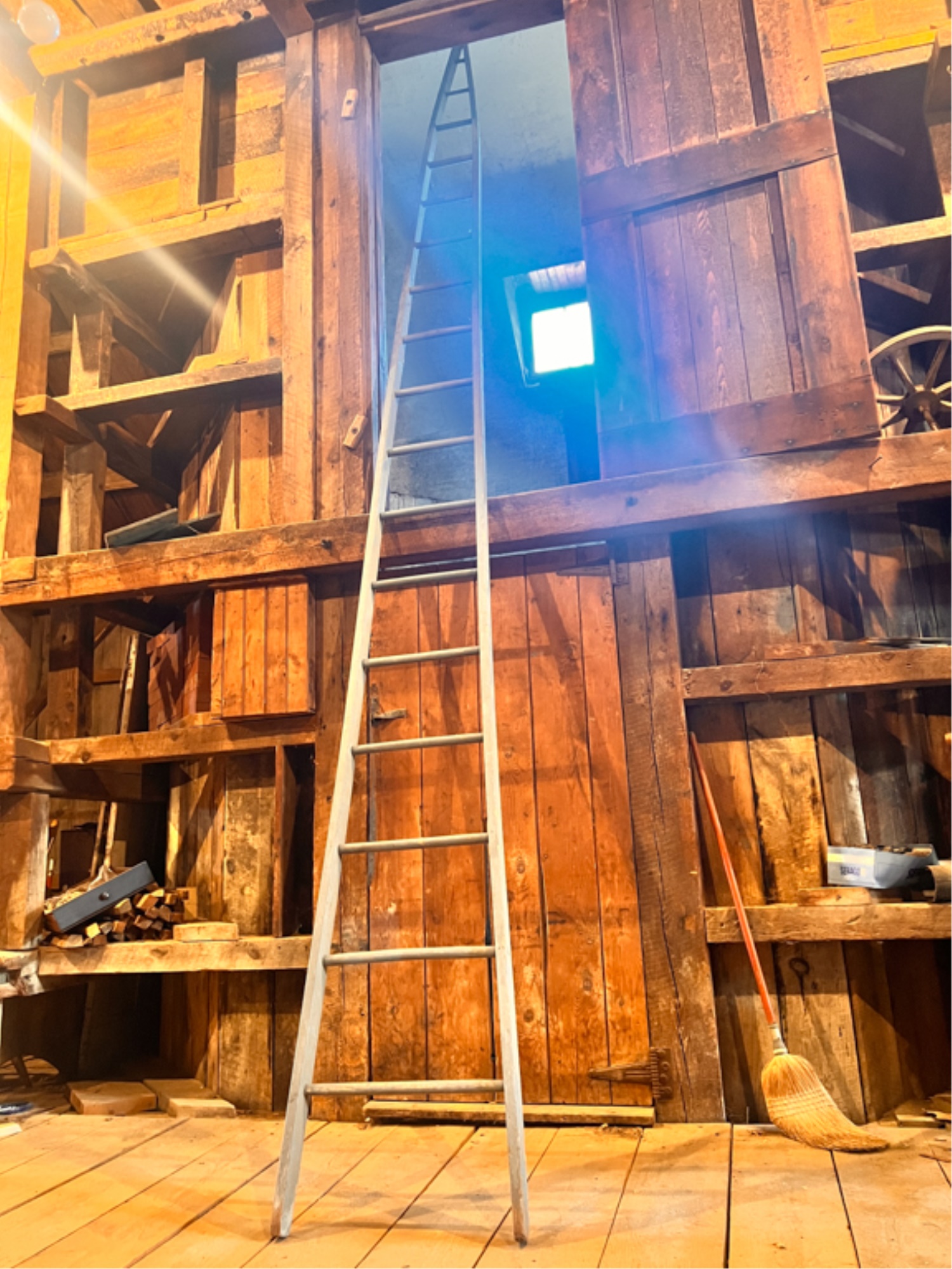 19 FOOT ANTIQUE PAINTED GOODWIN FARM APPLE LADDER #59555 | Auctionninja.com