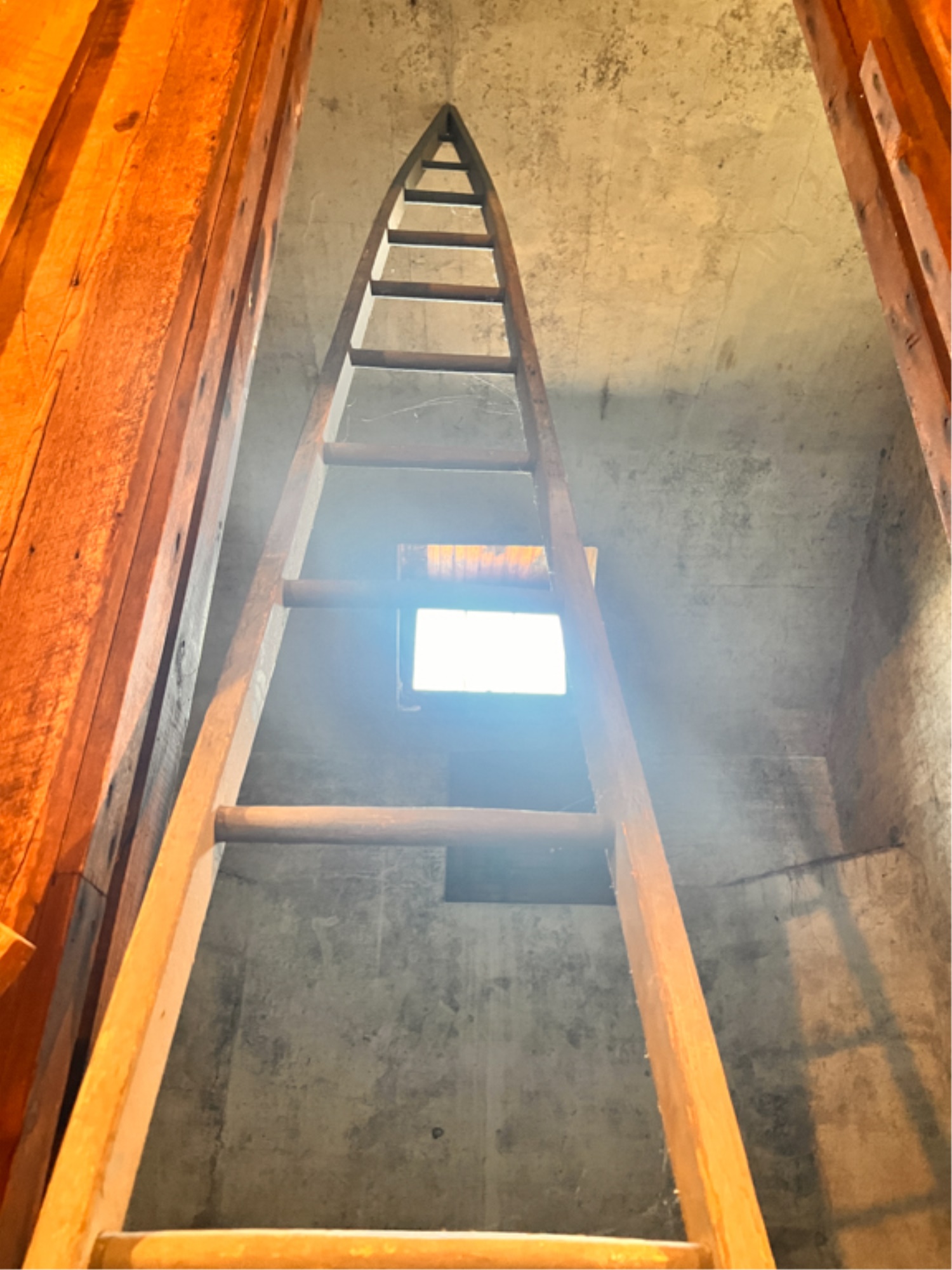 19 FOOT ANTIQUE PAINTED GOODWIN FARM APPLE LADDER #59555 | Auctionninja.com