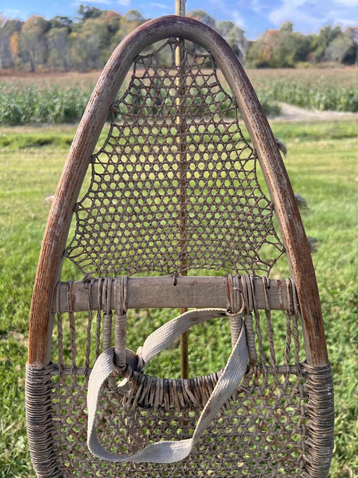 ANTIQUE PAIR OF NATIVE AMERICAN SNOWSHOES IN ORIGINAL PAINT #61566 ...