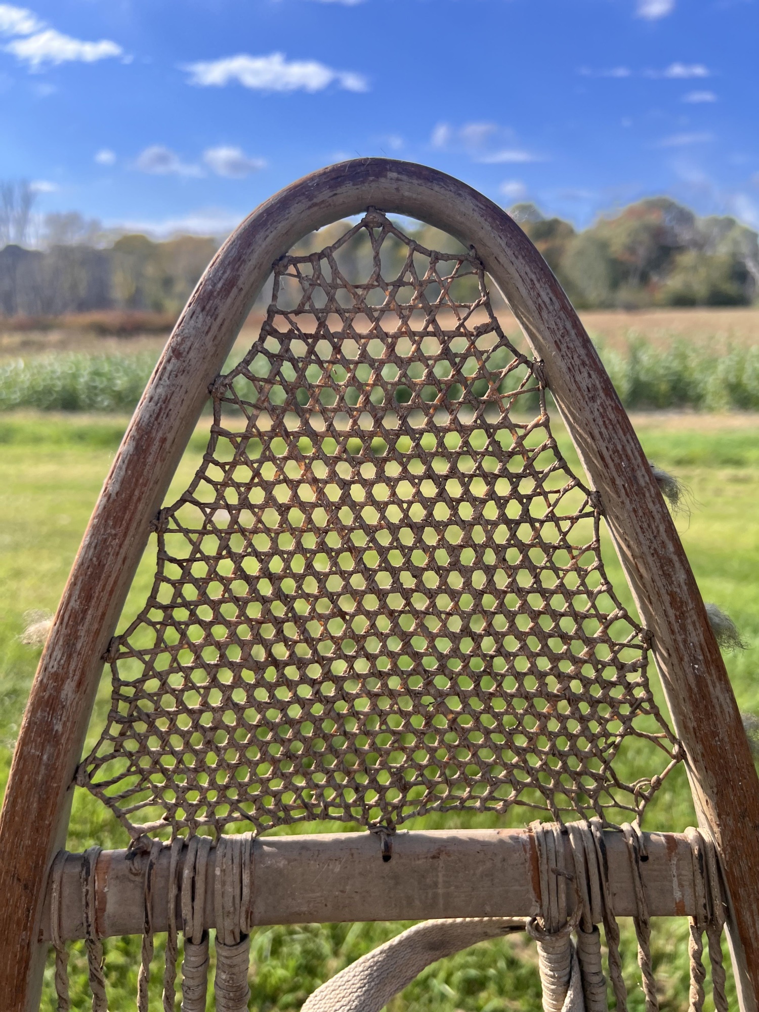ANTIQUE PAIR OF NATIVE AMERICAN SNOWSHOES IN ORIGINAL PAINT #61566 ...