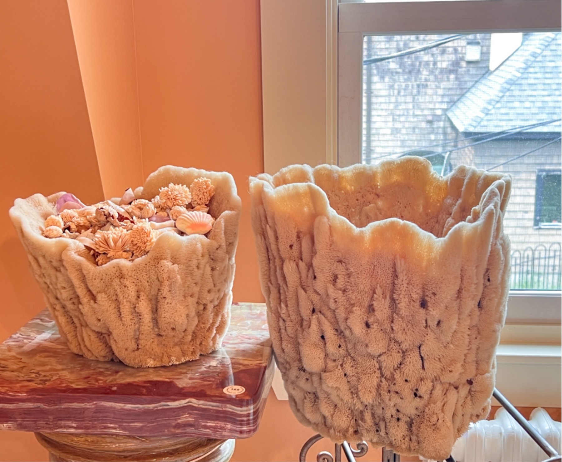 SEA SHORE DECOR: SPONGE BASKETS & SHELLS #43658 | Auctionninja.com