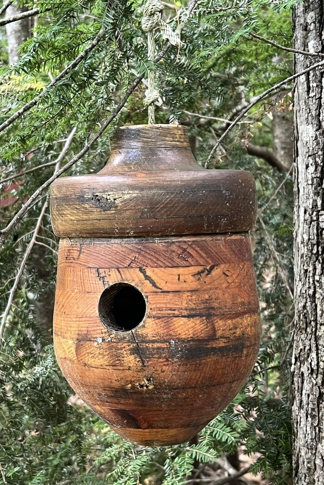 ACORN-FORM BIRD HOUSE #45716 | Auctionninja.com