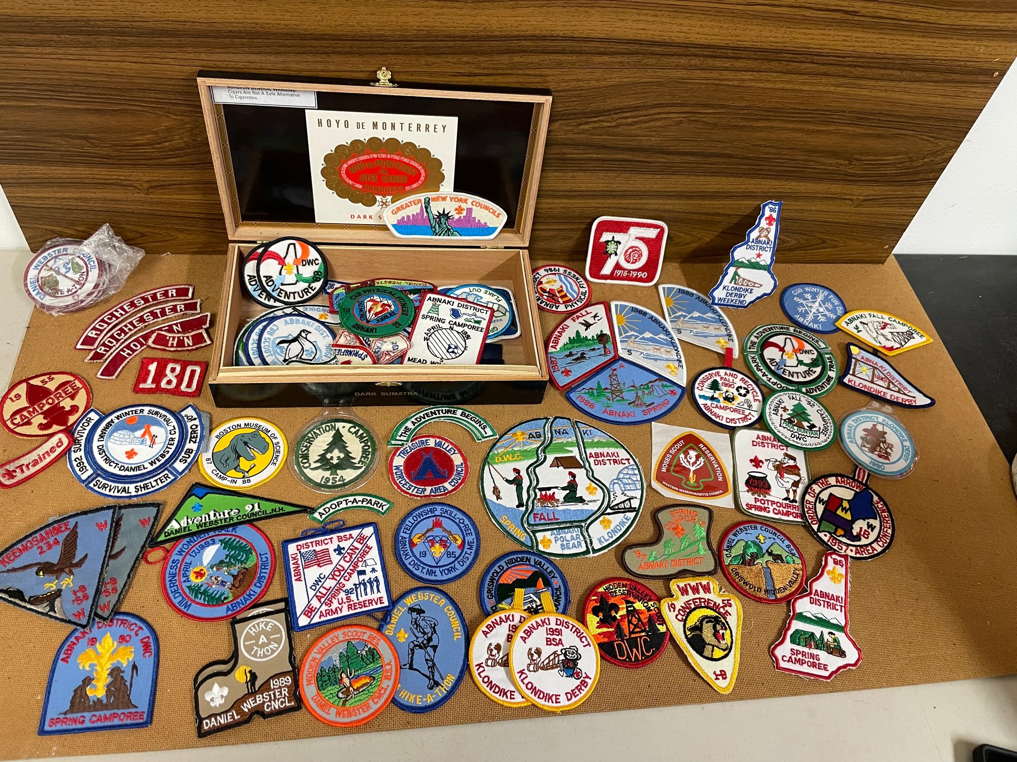 Boy Scout Patches BSA #2974 | Auctionninja.com