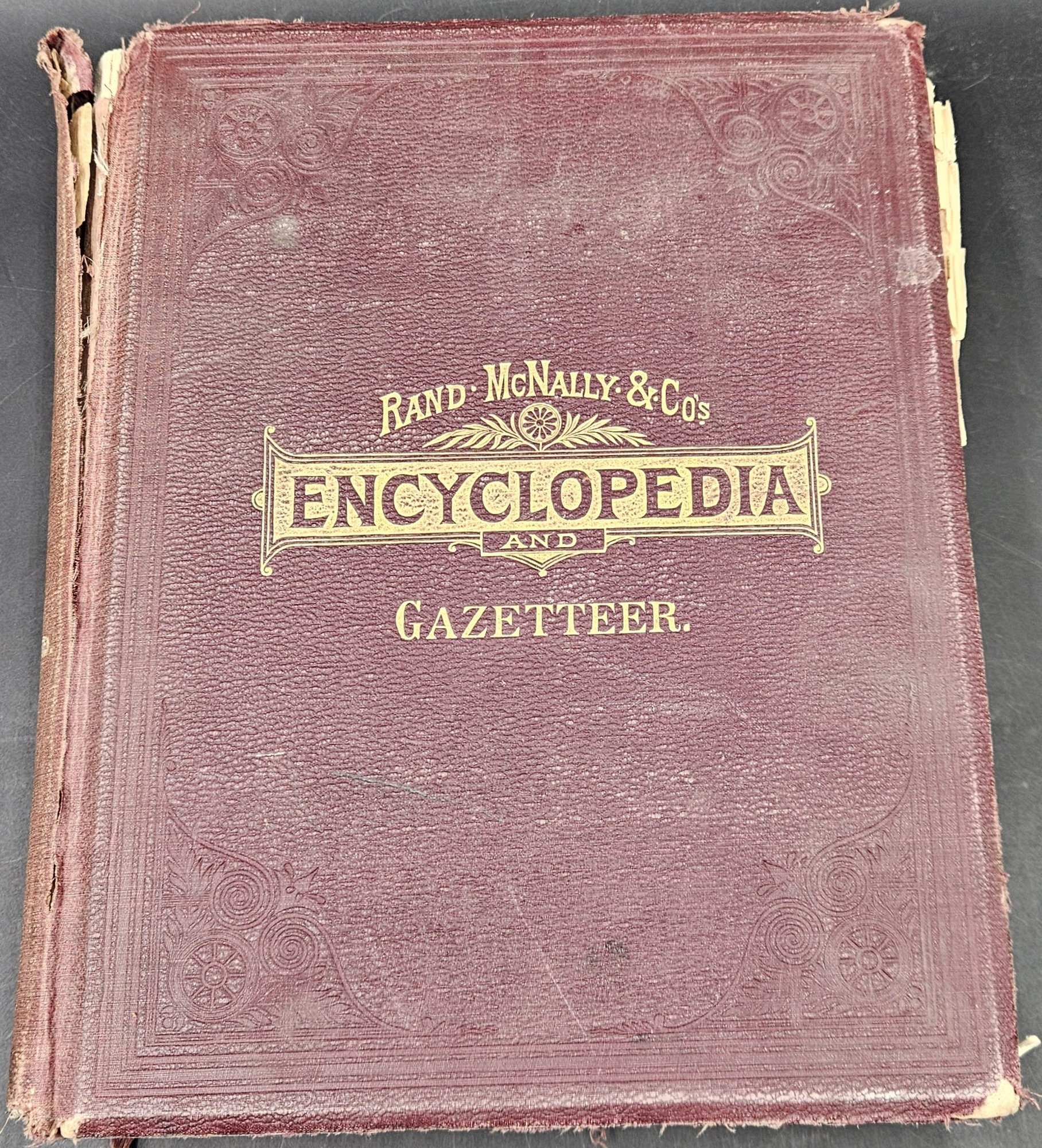 Antique Book Encyclopedia And Gazetteer Rand McNally & CO's 1891 ...