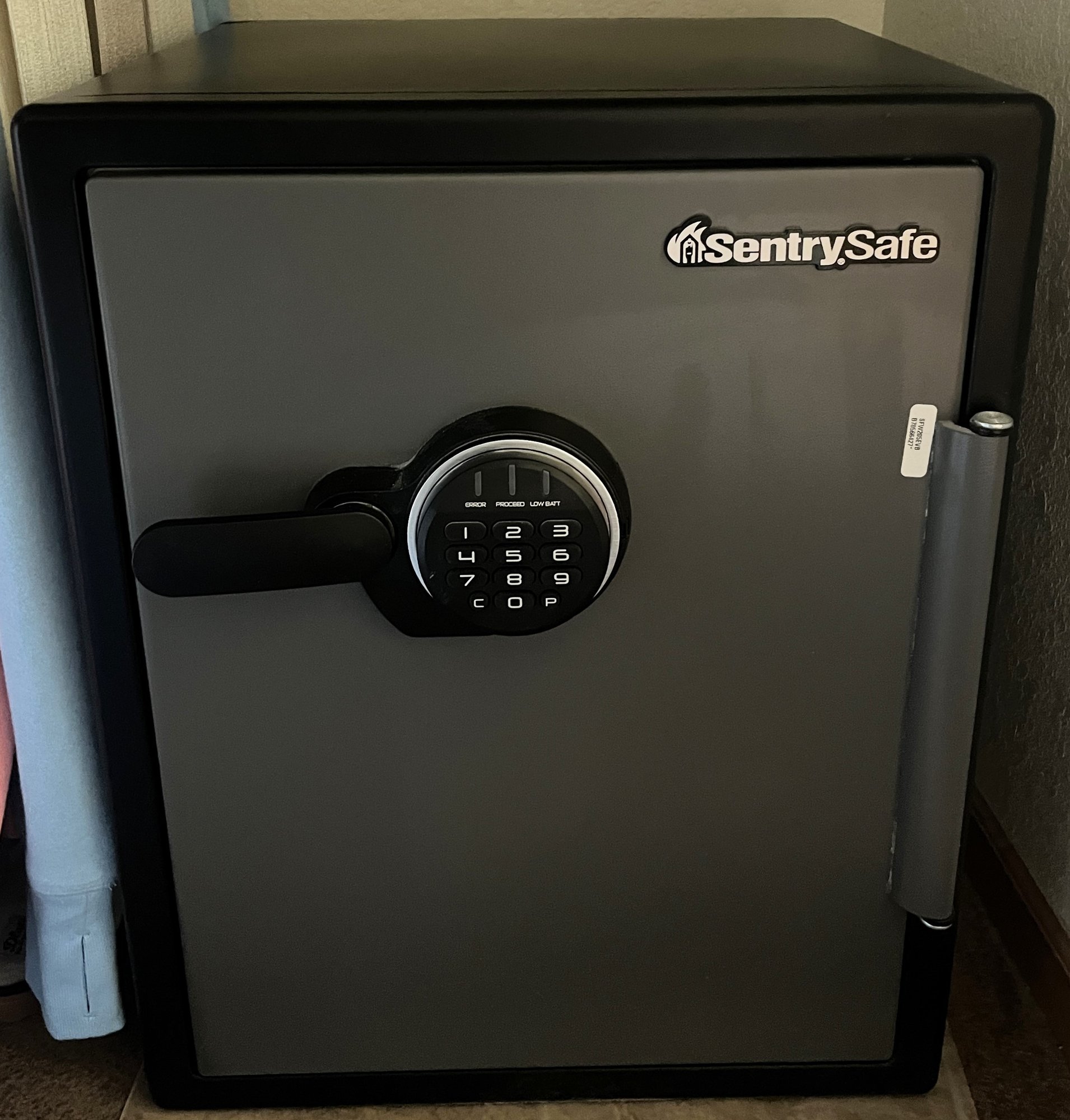 SENTRY Safe Electronic Keypad Fireproof Safe - (B1) #31068 ...