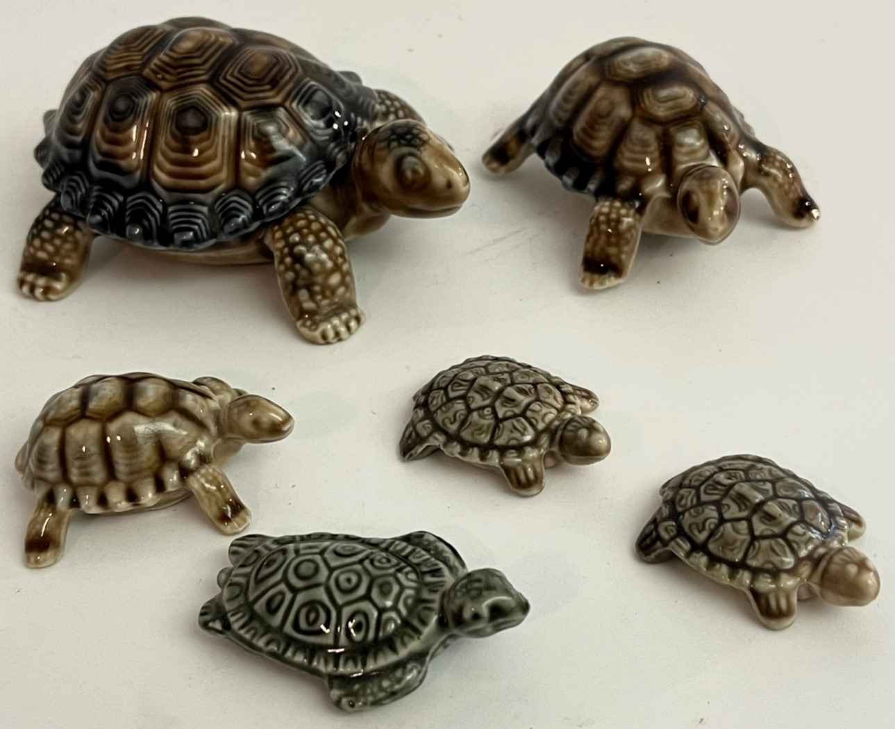 Lot Of 6 Wade (England) Porcelain Turtles - (MB2) #30553 | Auctionninja.com