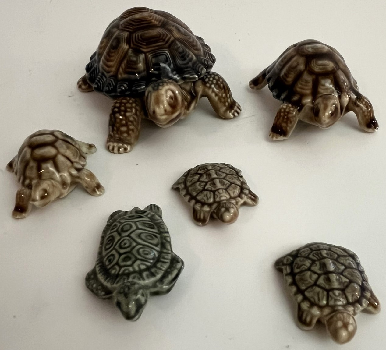 Lot Of 6 Wade (England) Porcelain Turtles - (MB2) #30553 | Auctionninja.com