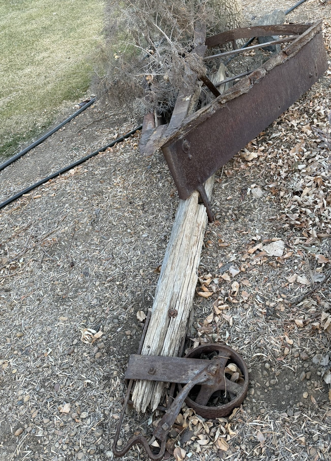 Antique Bore Drain Delver (B228)(O) #56211 | Auctionninja.com